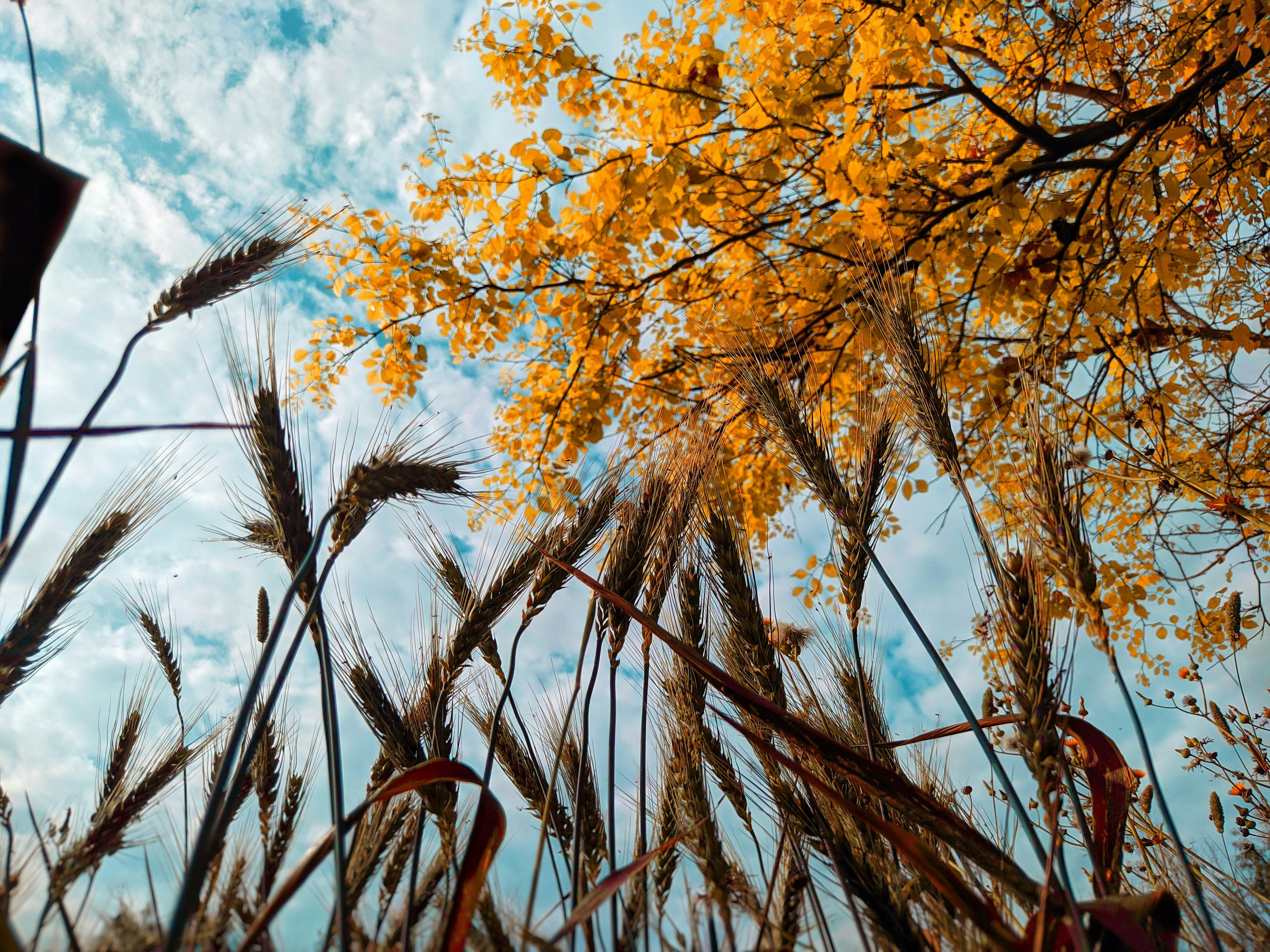 Nature Lover (@nature7886) | Unsplashフォトコミュニティ