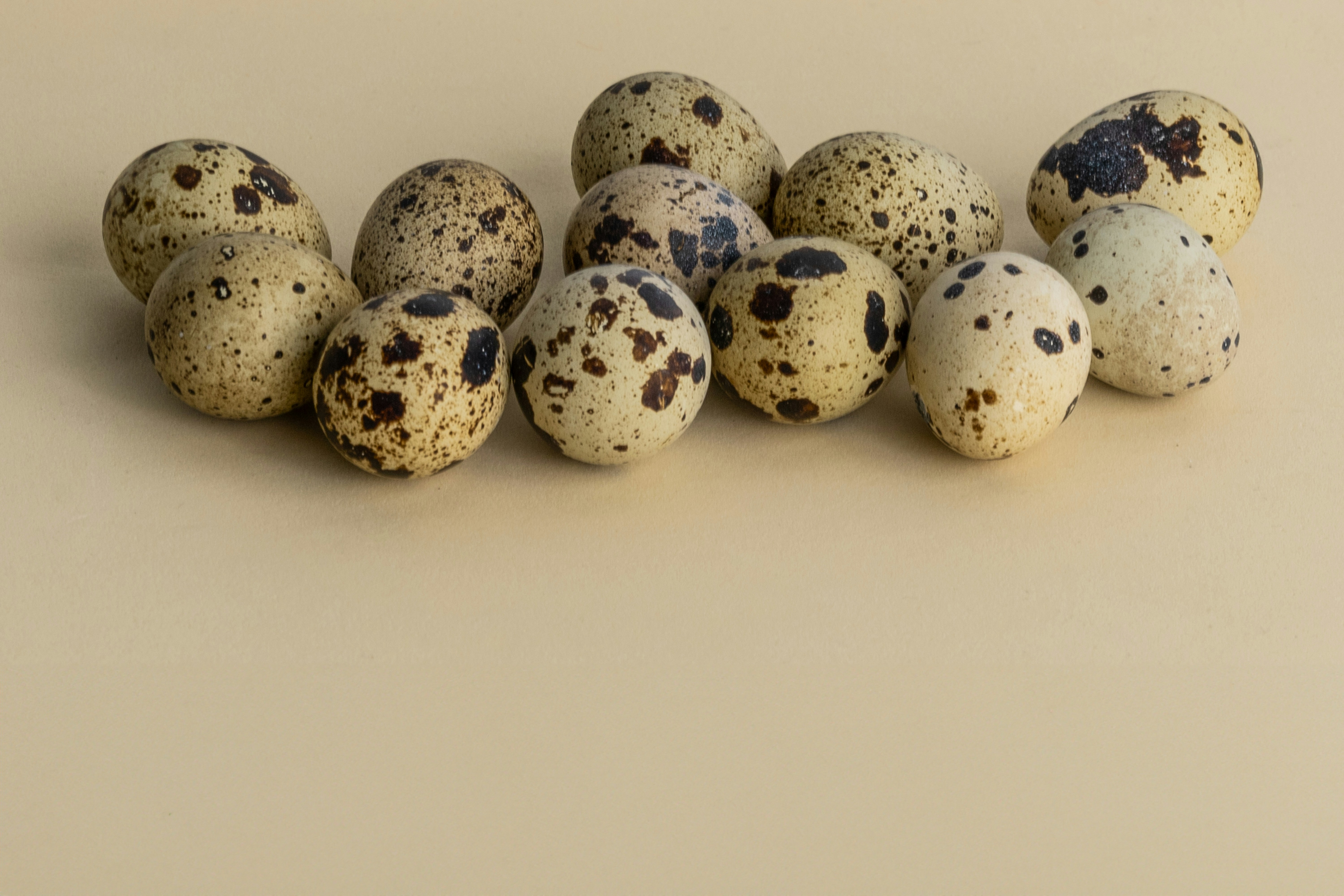 A group of quails sitting on top of each other photo – Free Quail eggs ...