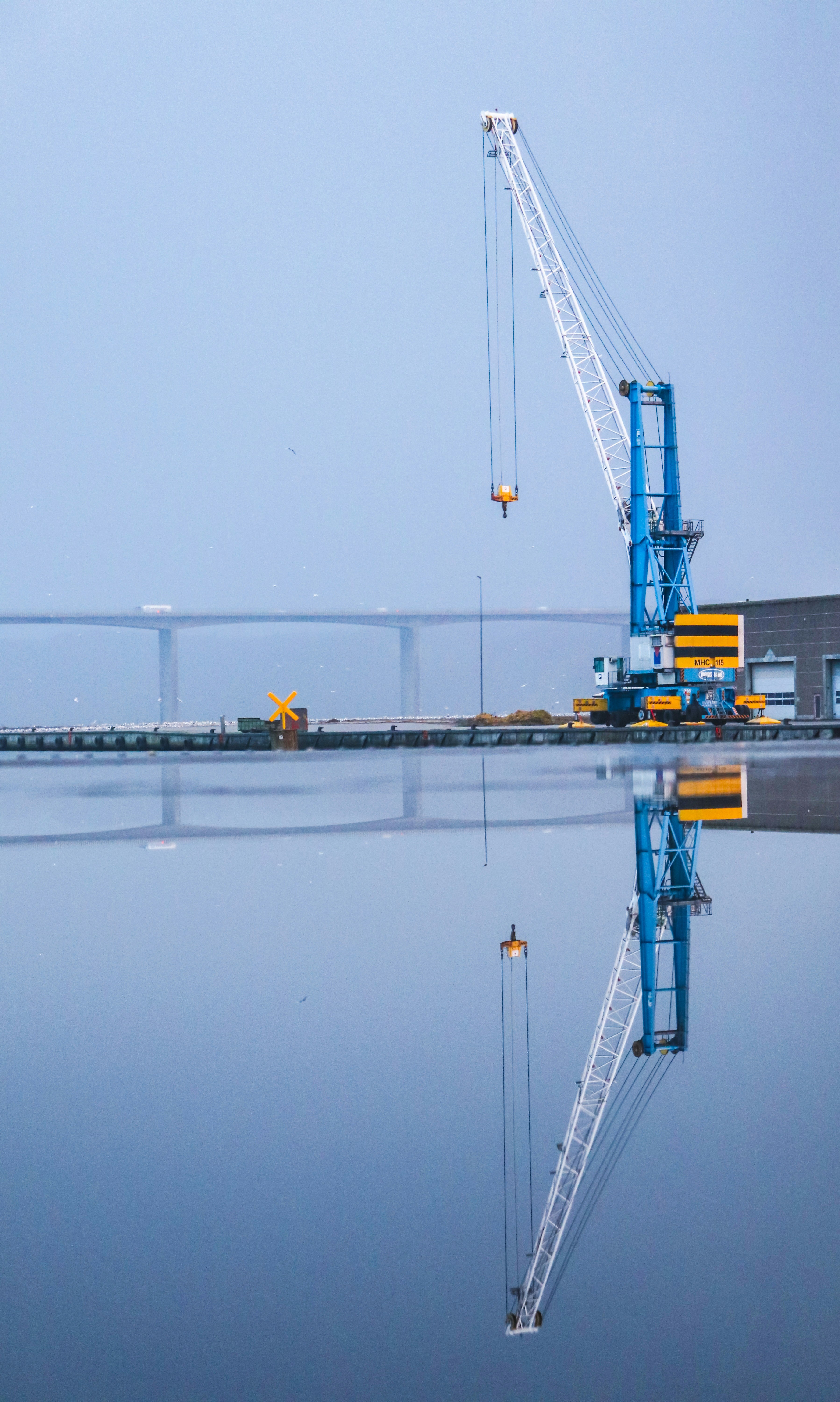 Symmetry in Serenity: Crane Reflections