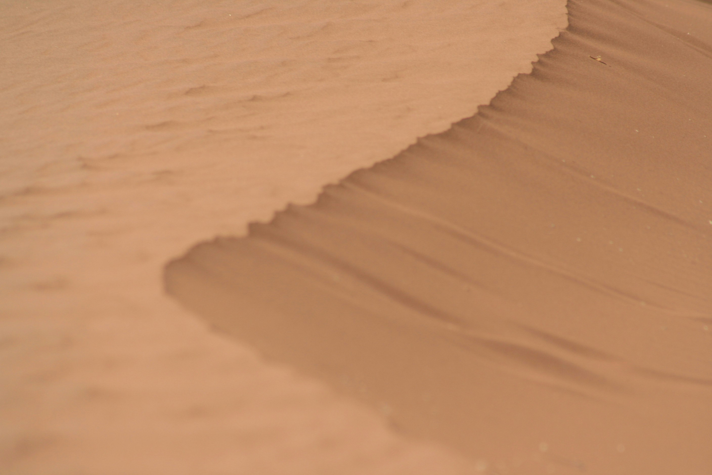 Photo by Amir Mortezaie with Canon EOS 400D