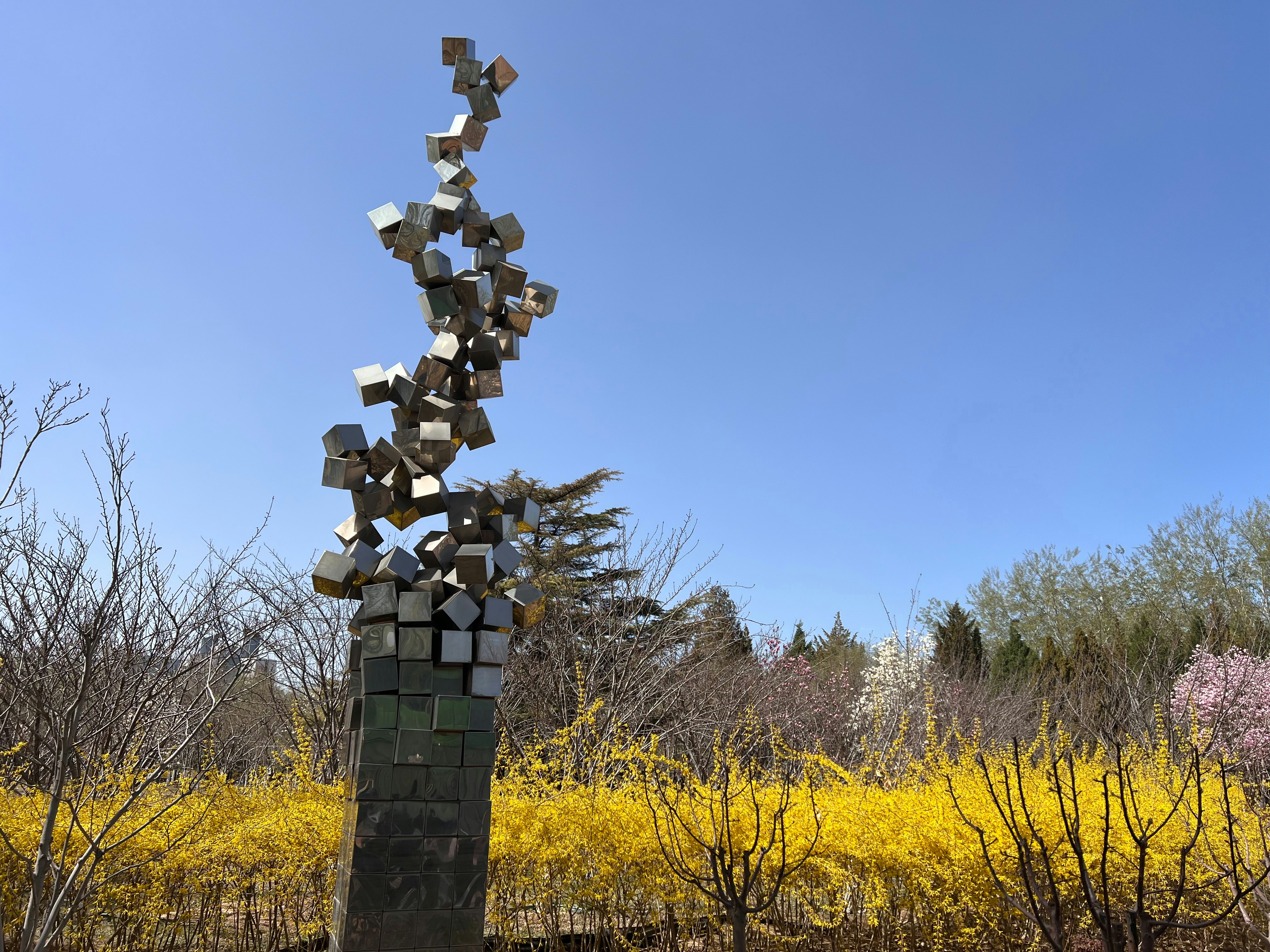 Ascending Cubes: A Metallic Monument Amid Spring Blossoms