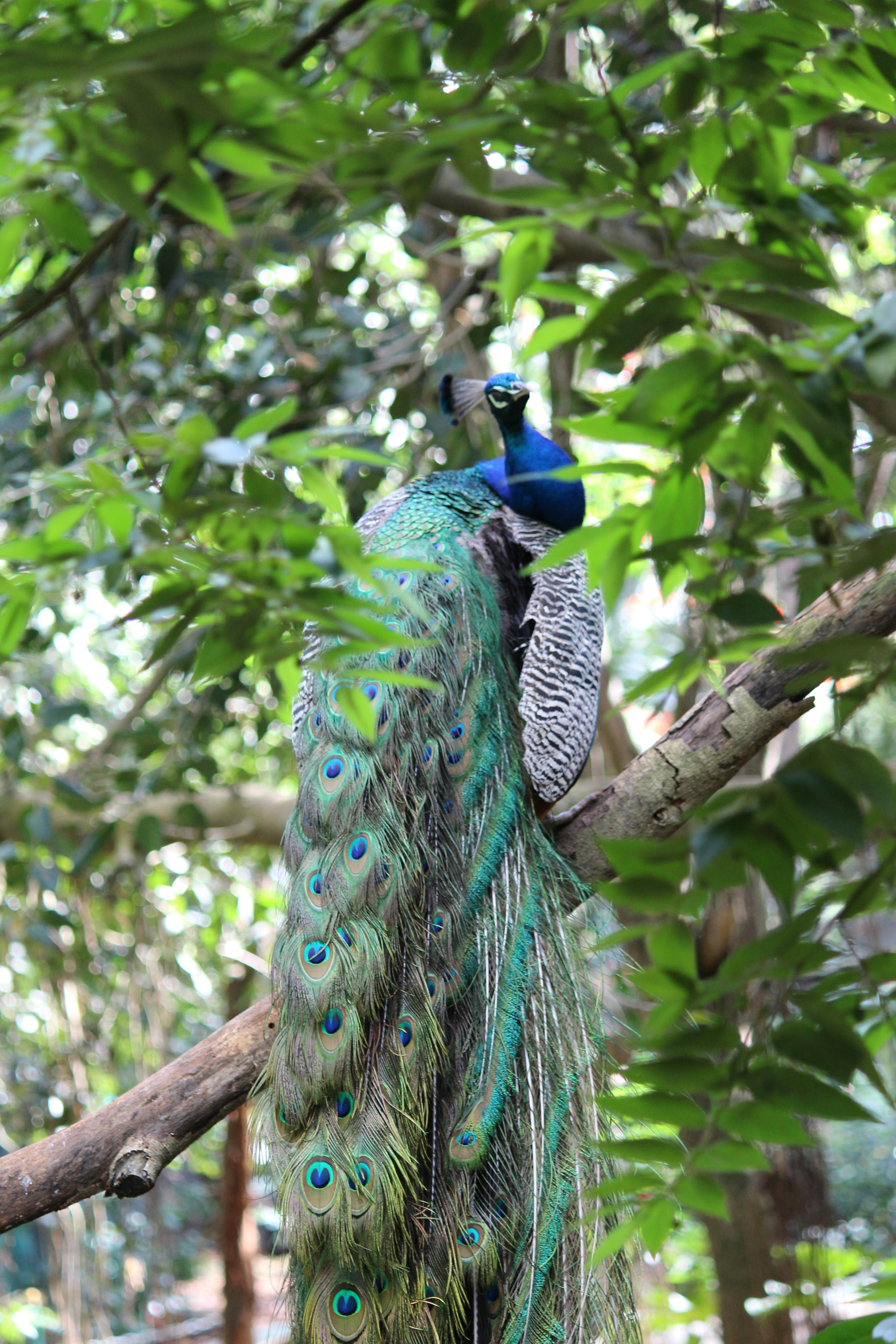 Photo by Bidhan Chandra with Canon EOS 1300D