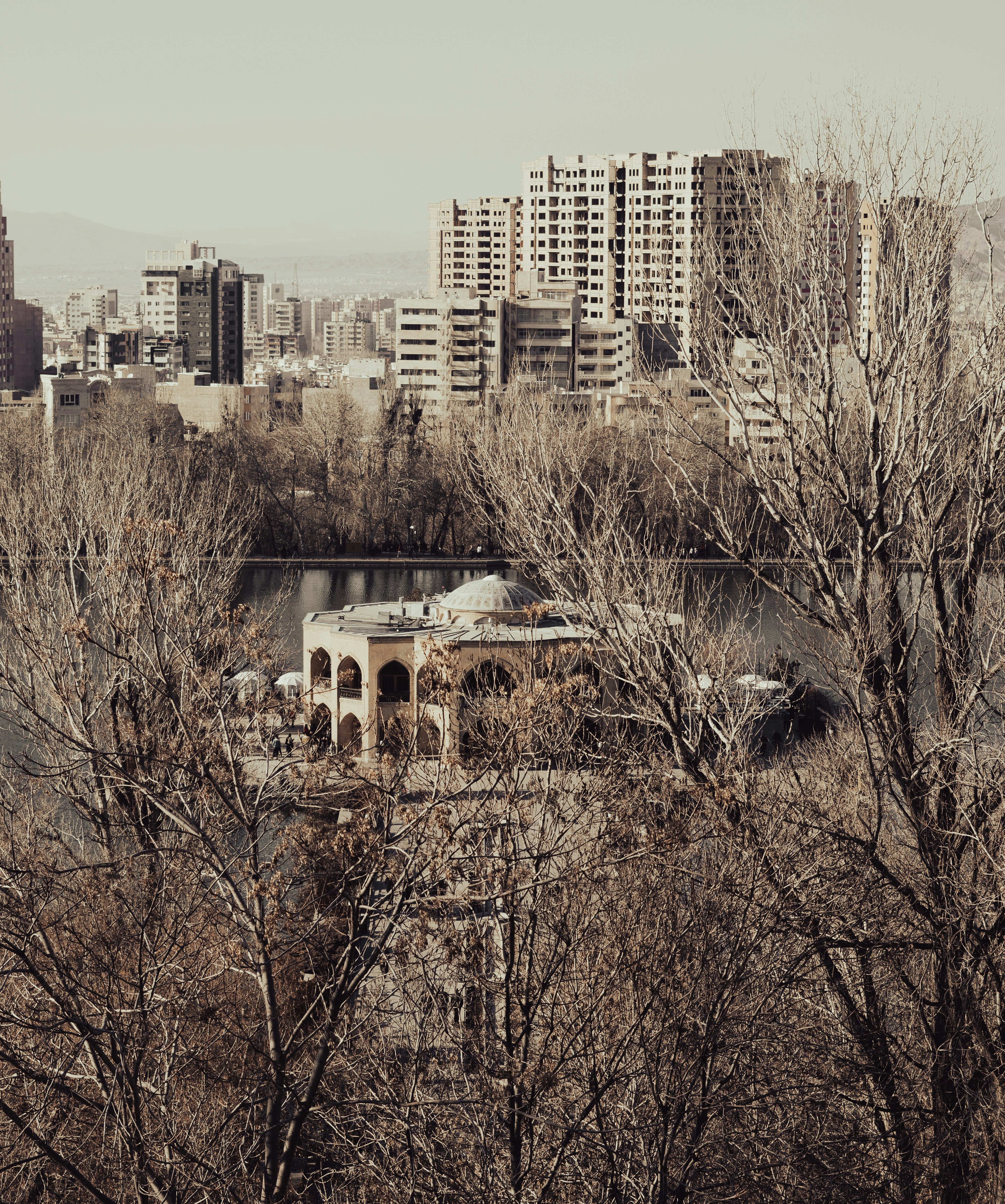 Winter-Tinted City Pavilion Framed by Bare Trees