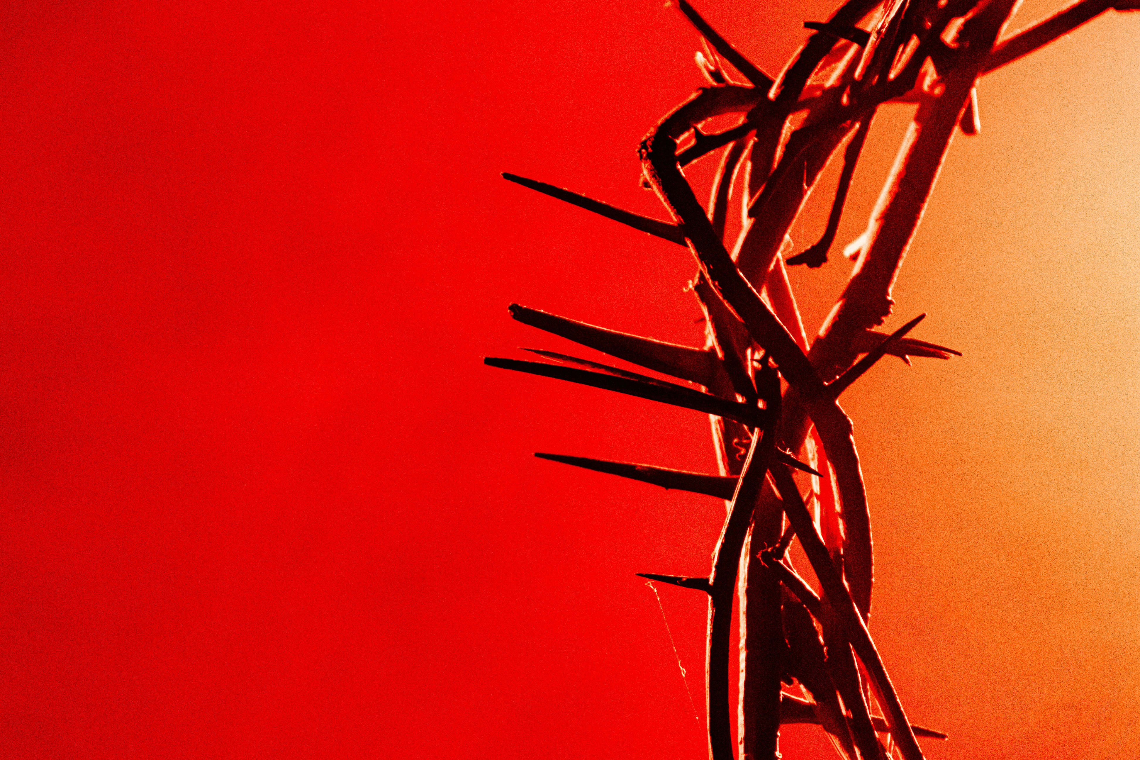 A close up of a crown of barbed wire photo – Free Jesus Image on Unsplash