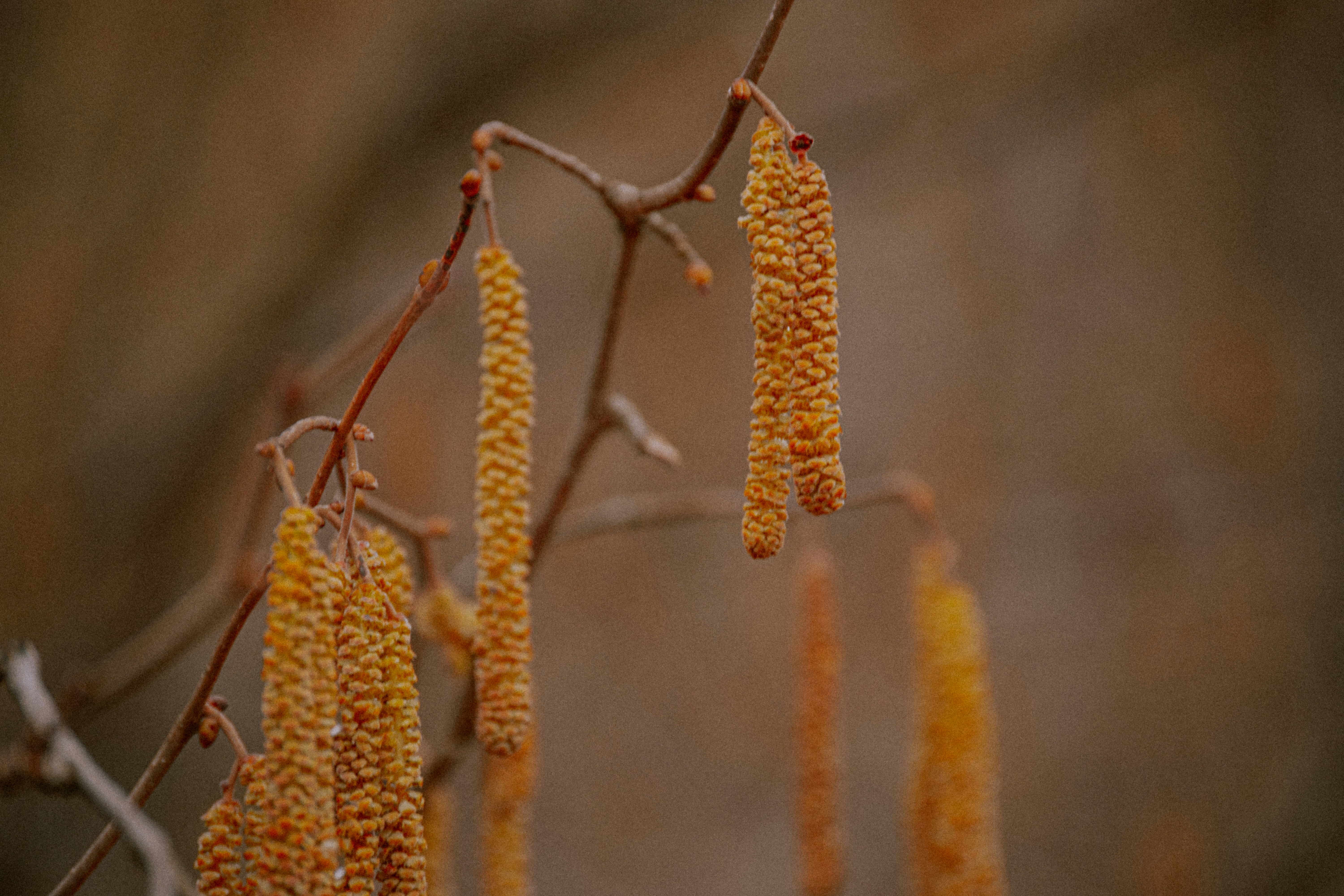 Shut Up Pictures | Download Free Images on Unsplash