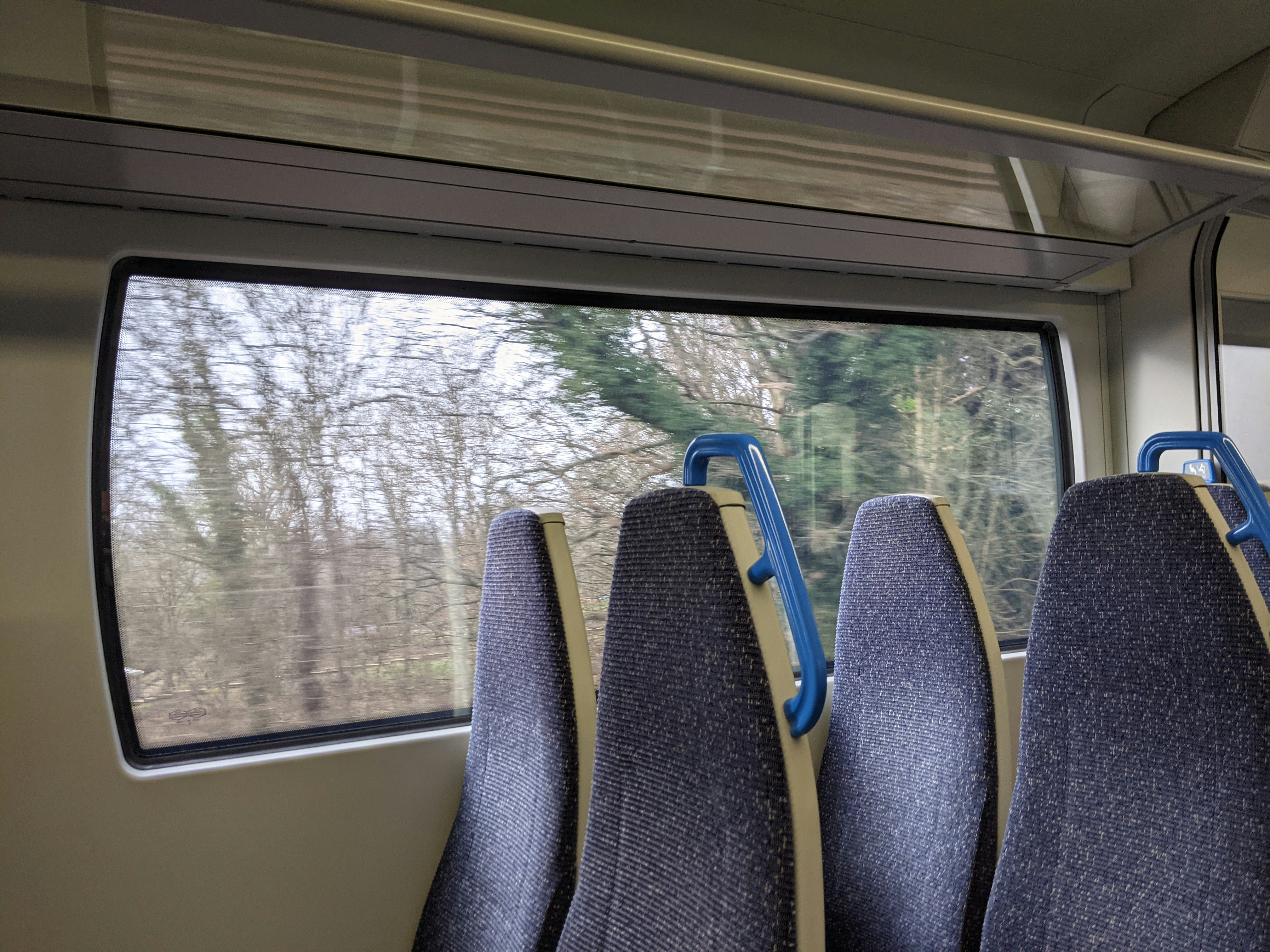 Train seats facing a window revealing bare trees and winter foliage.