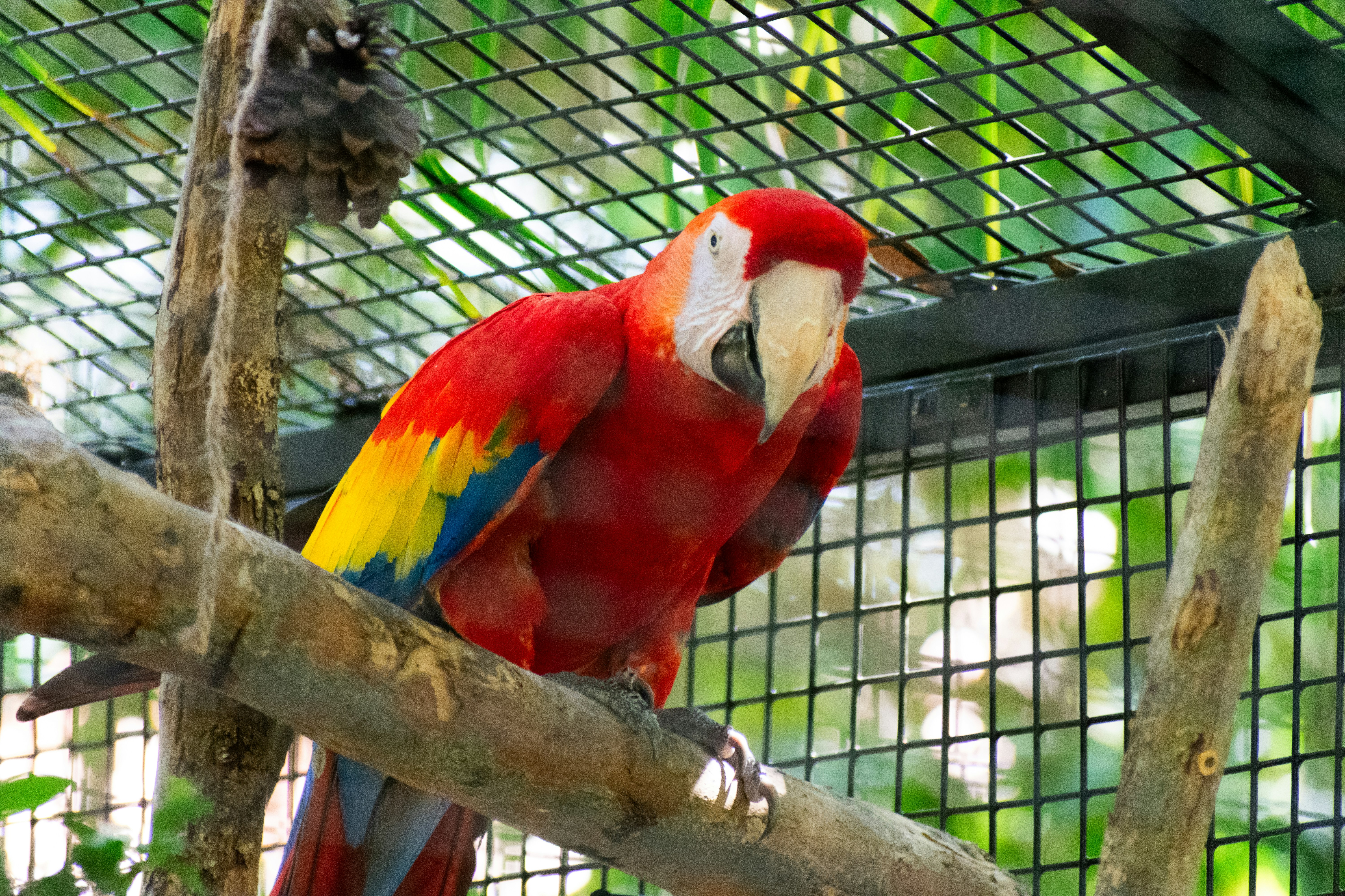 Photo by Robin Teng with Nikon D3400