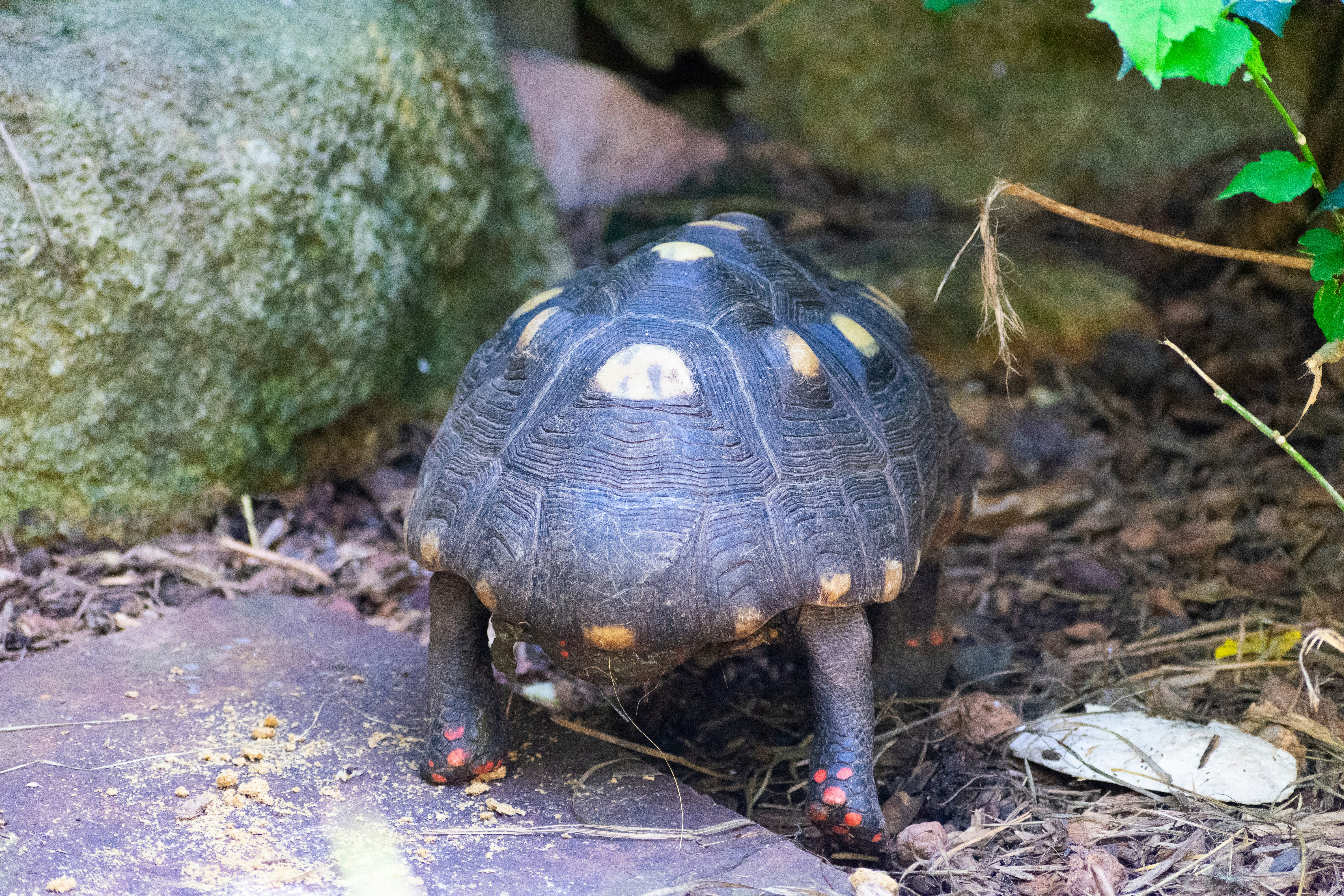 Photo by Robin Teng with Nikon D3400