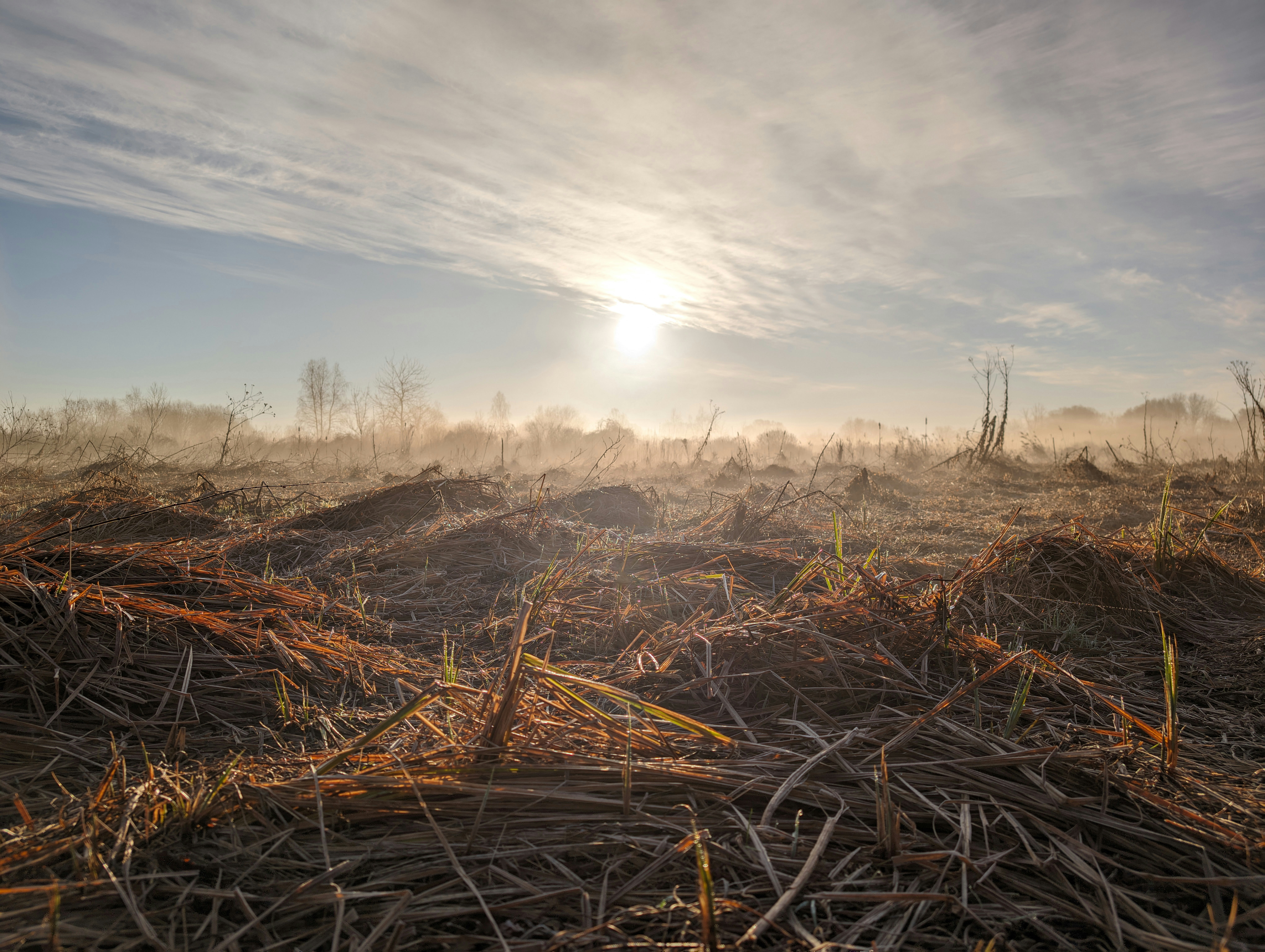 Dawn over a Windswept Straw Field