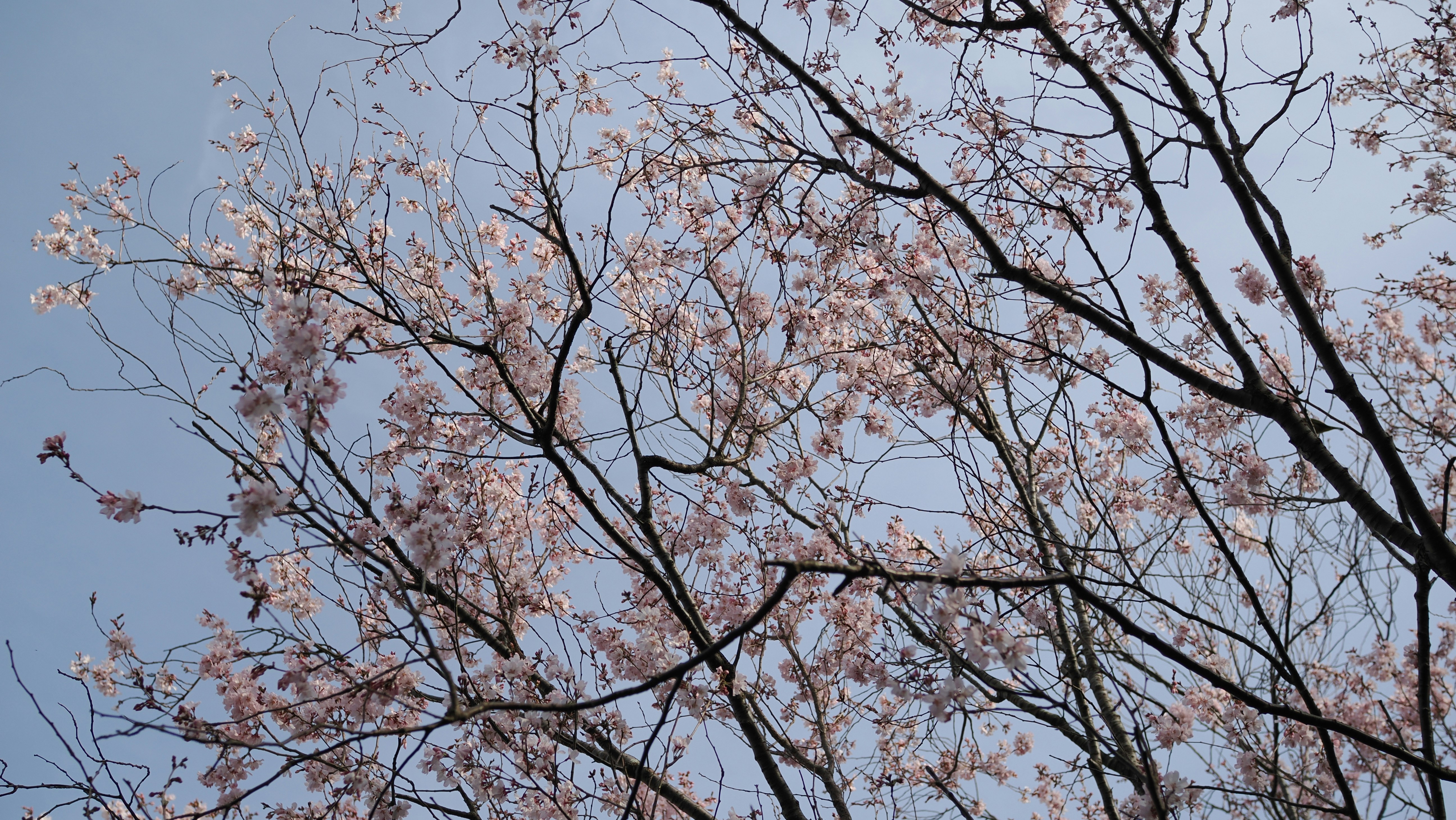 Photo by Kazuyuki AOKI with OM System OM-1 Mark II