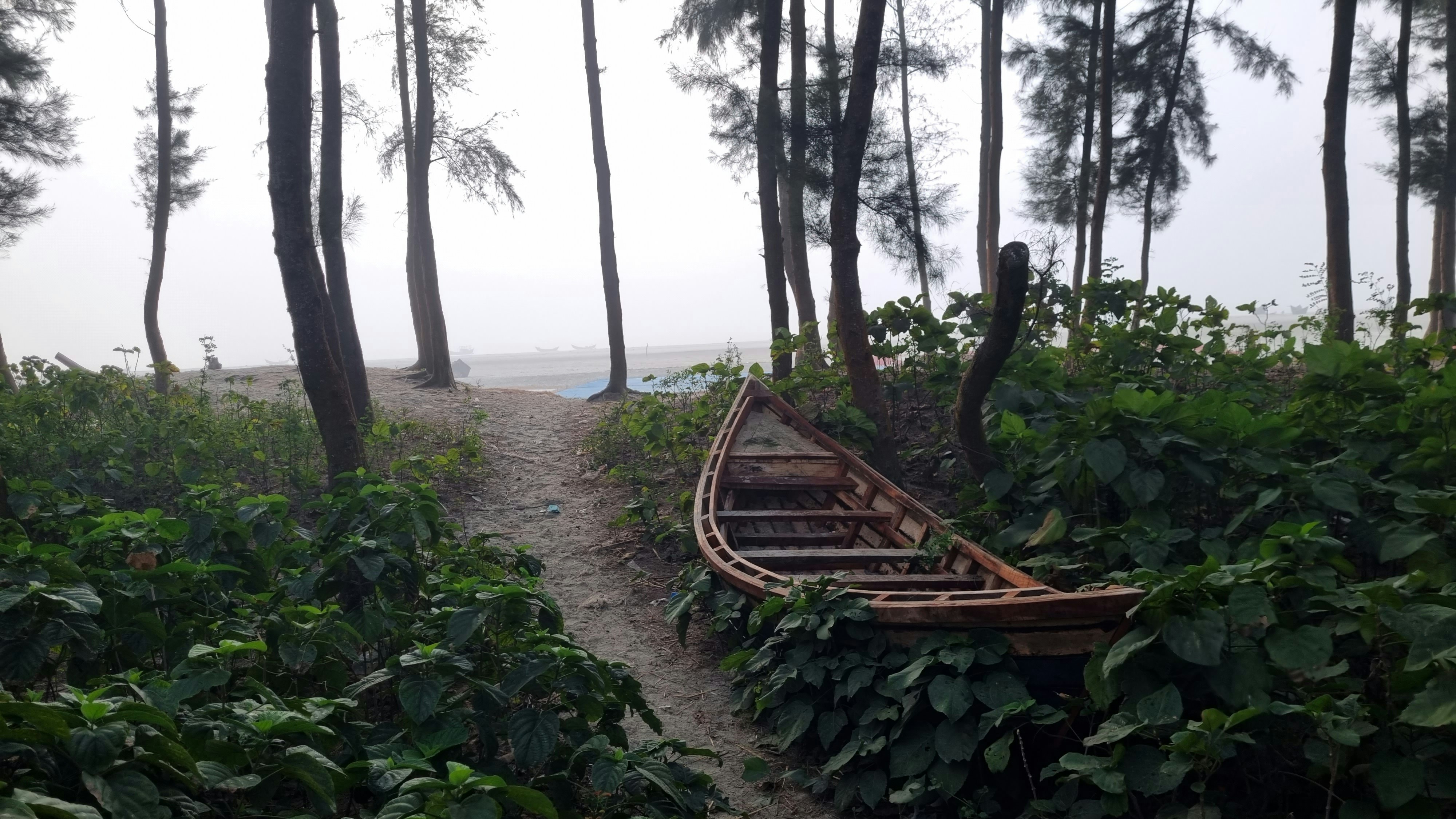 Moss-Covered Boat Along a Fern-Guarded Forest Path Toward the Shore