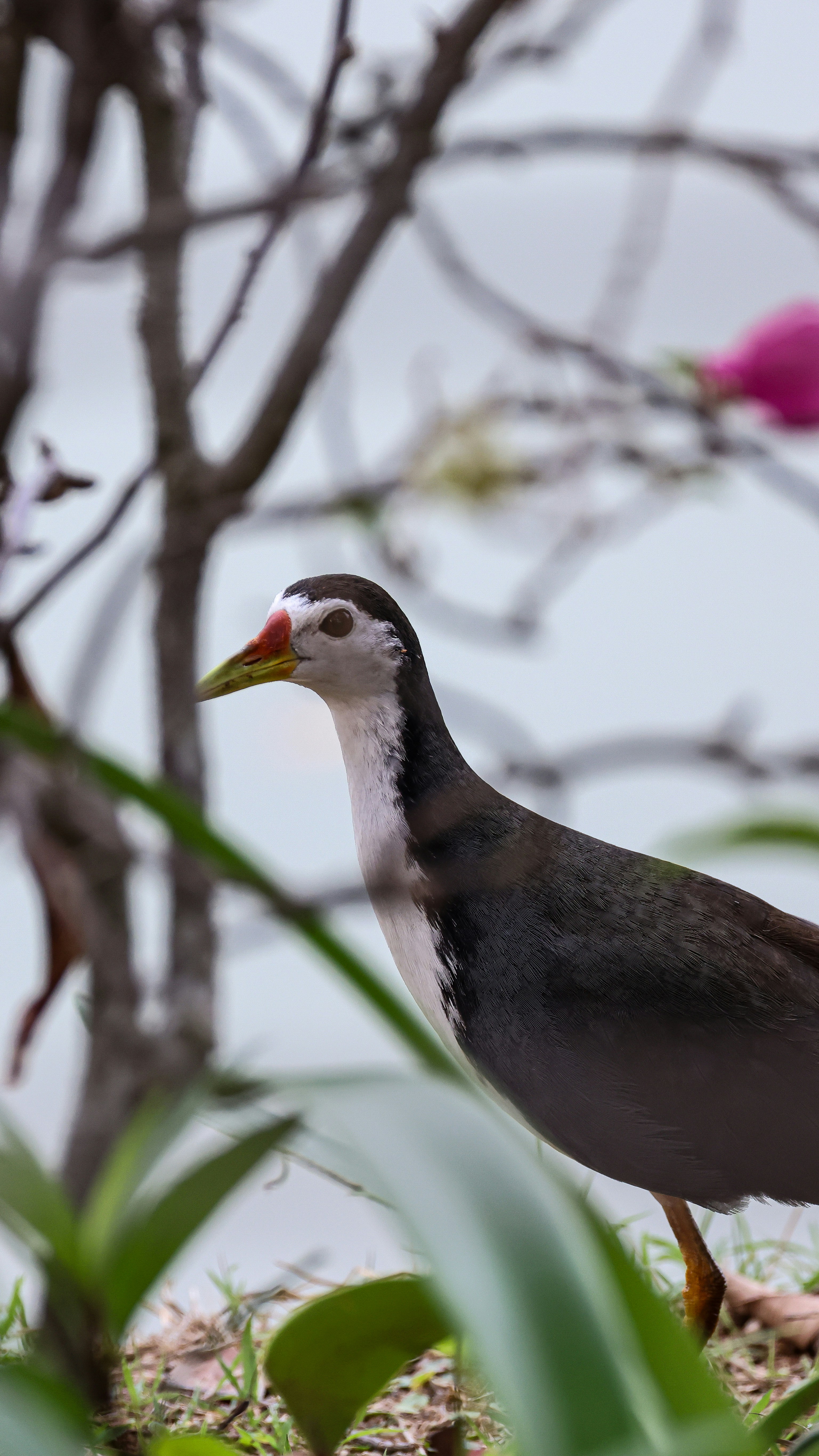 Photo by DL314 Lin with Canon EOS R5