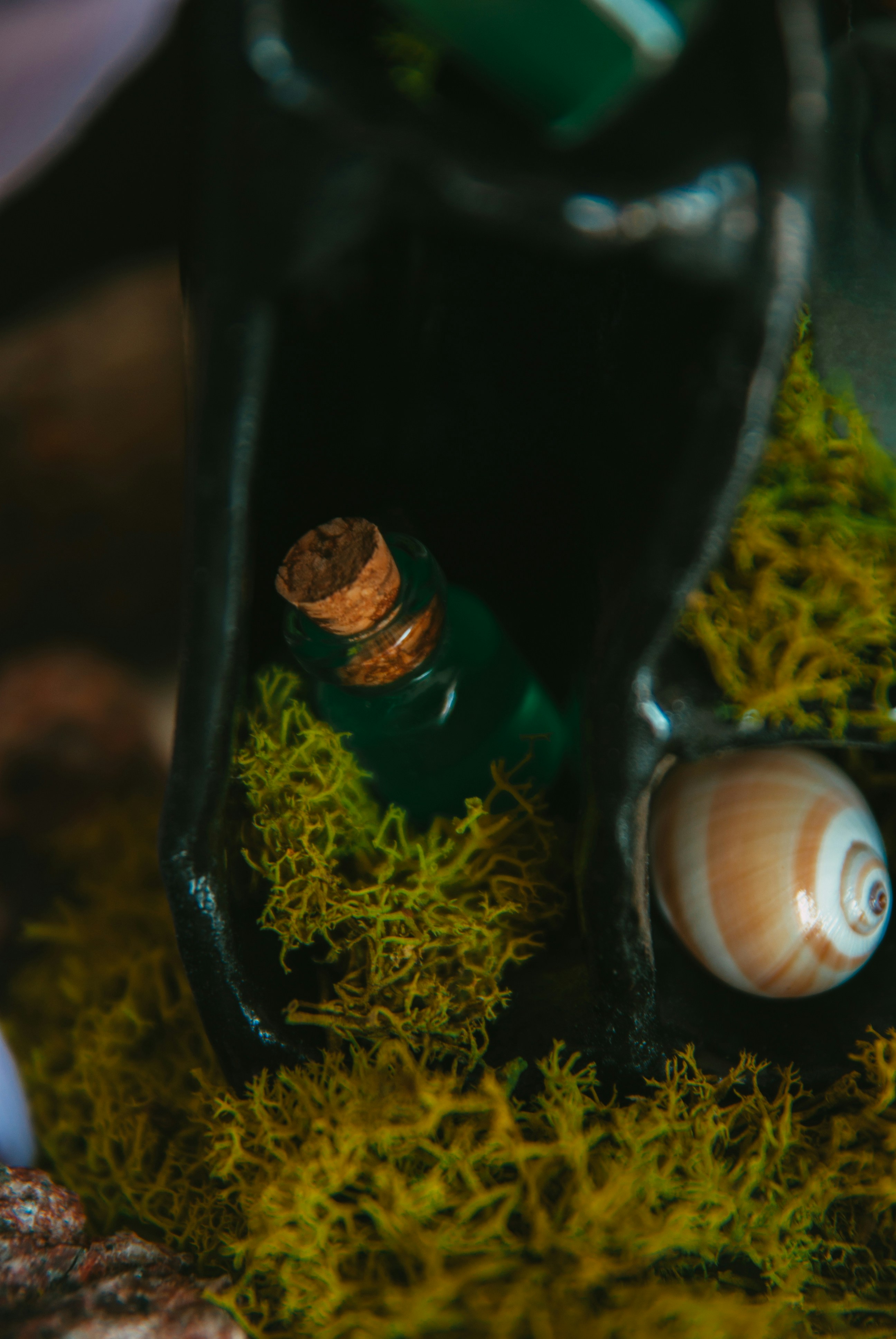 Emerald Bottle Nestled in Moss: A Quiet Coastal Find