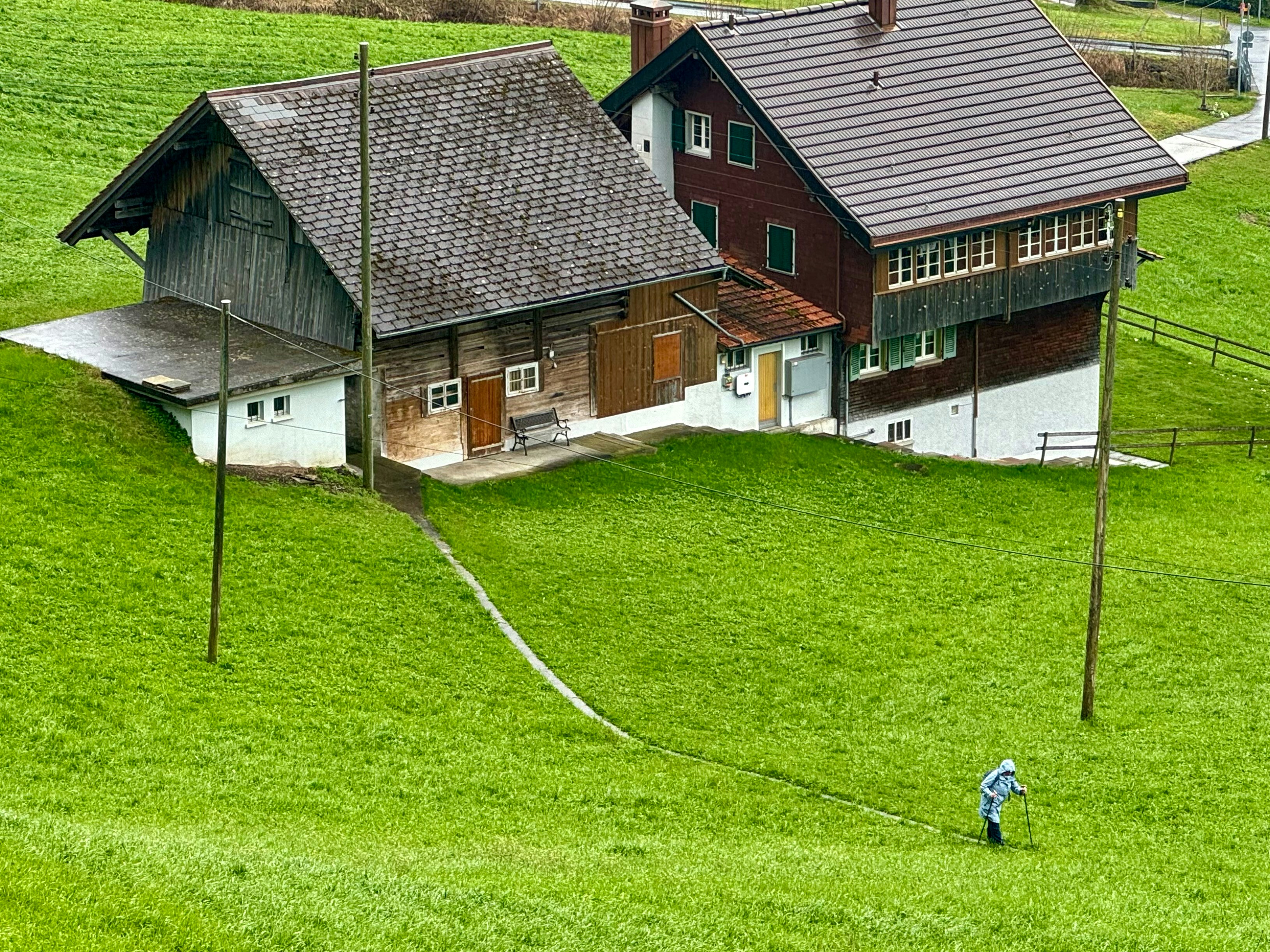Verdant Ridge Homestead: Twin Farmhouses Clinging to a Green Slope