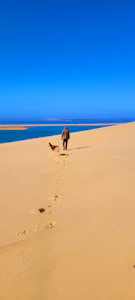 Footprints Toward the Blue Horizon: A solitary wanderer and his dog on sunlit dunes