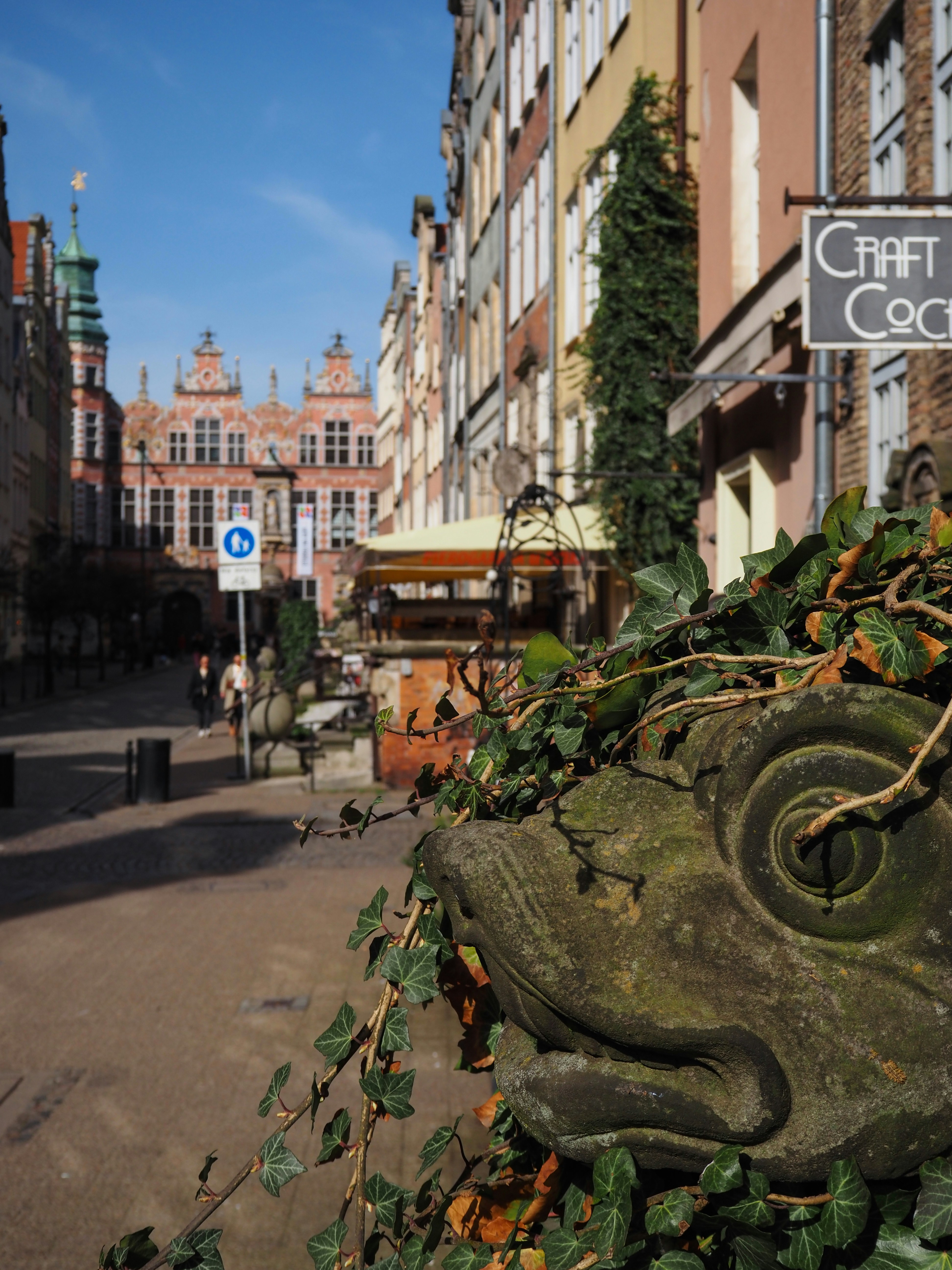  ivy-clad stone guardian overlooking a sunlit European street