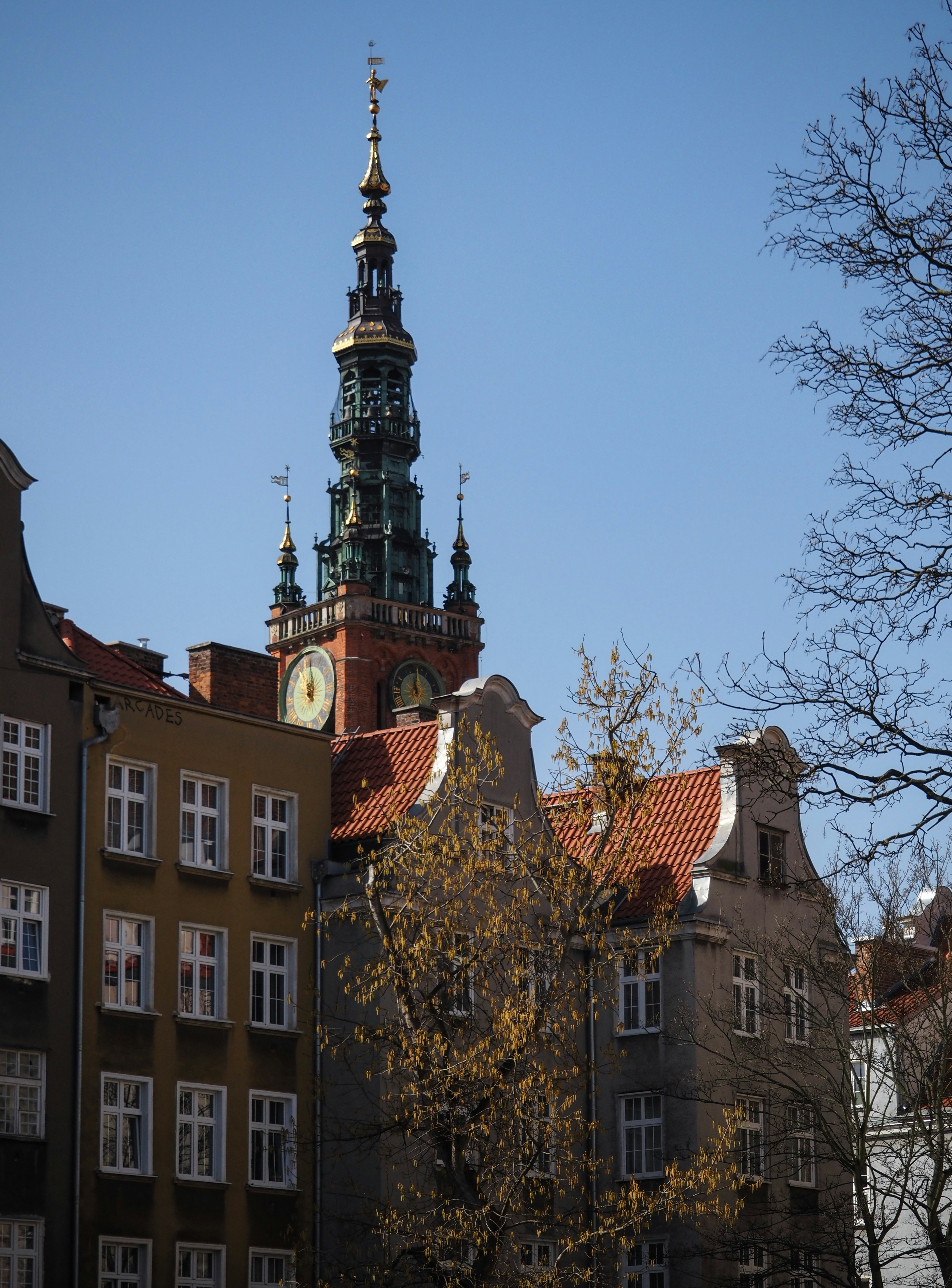 Photo by Lidia Stawinska with Olympus OM-D E-M10 Mark IV