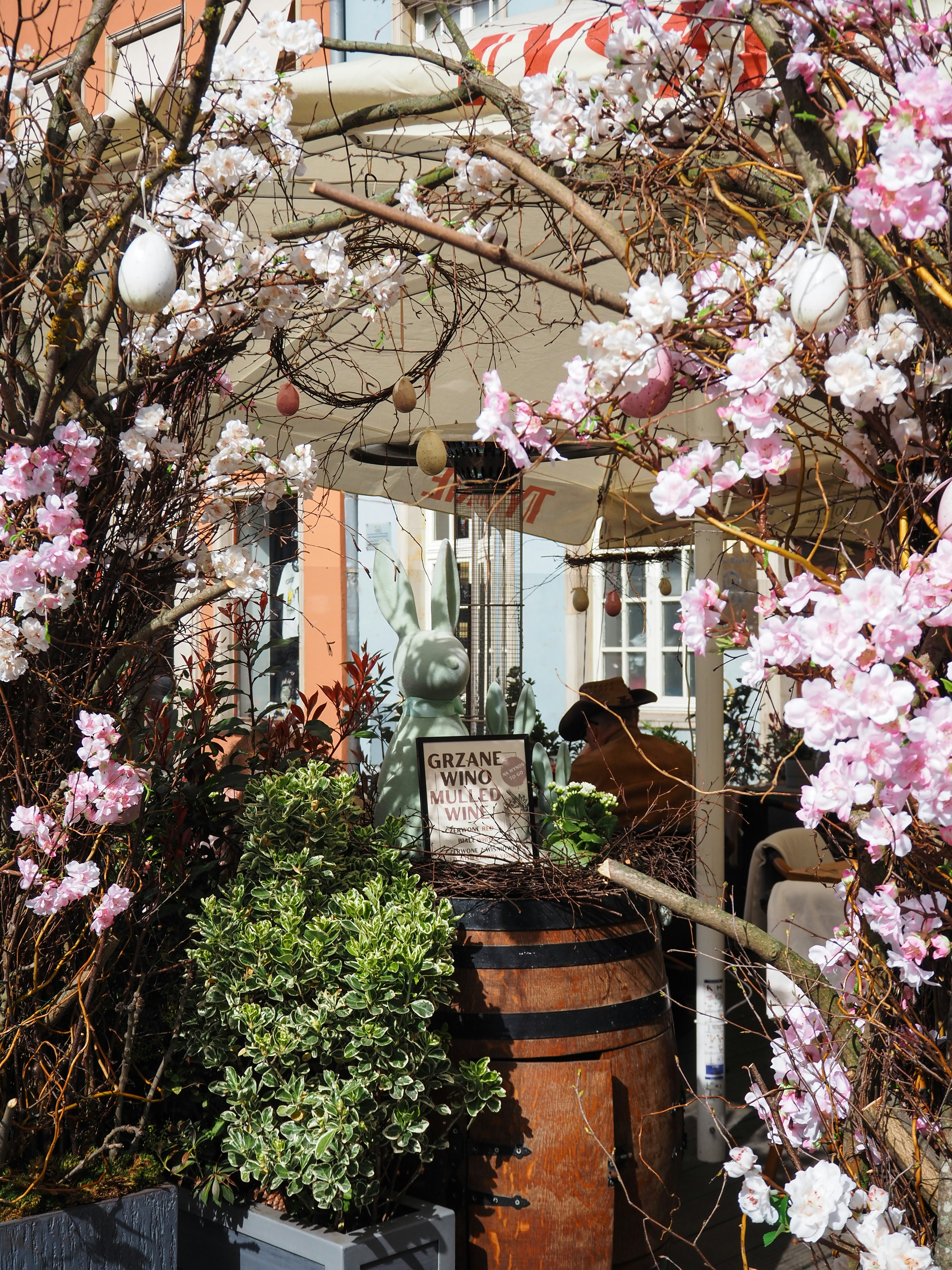 Cherry Blossom Arch Framing a Quaint Wine Bar Entrance