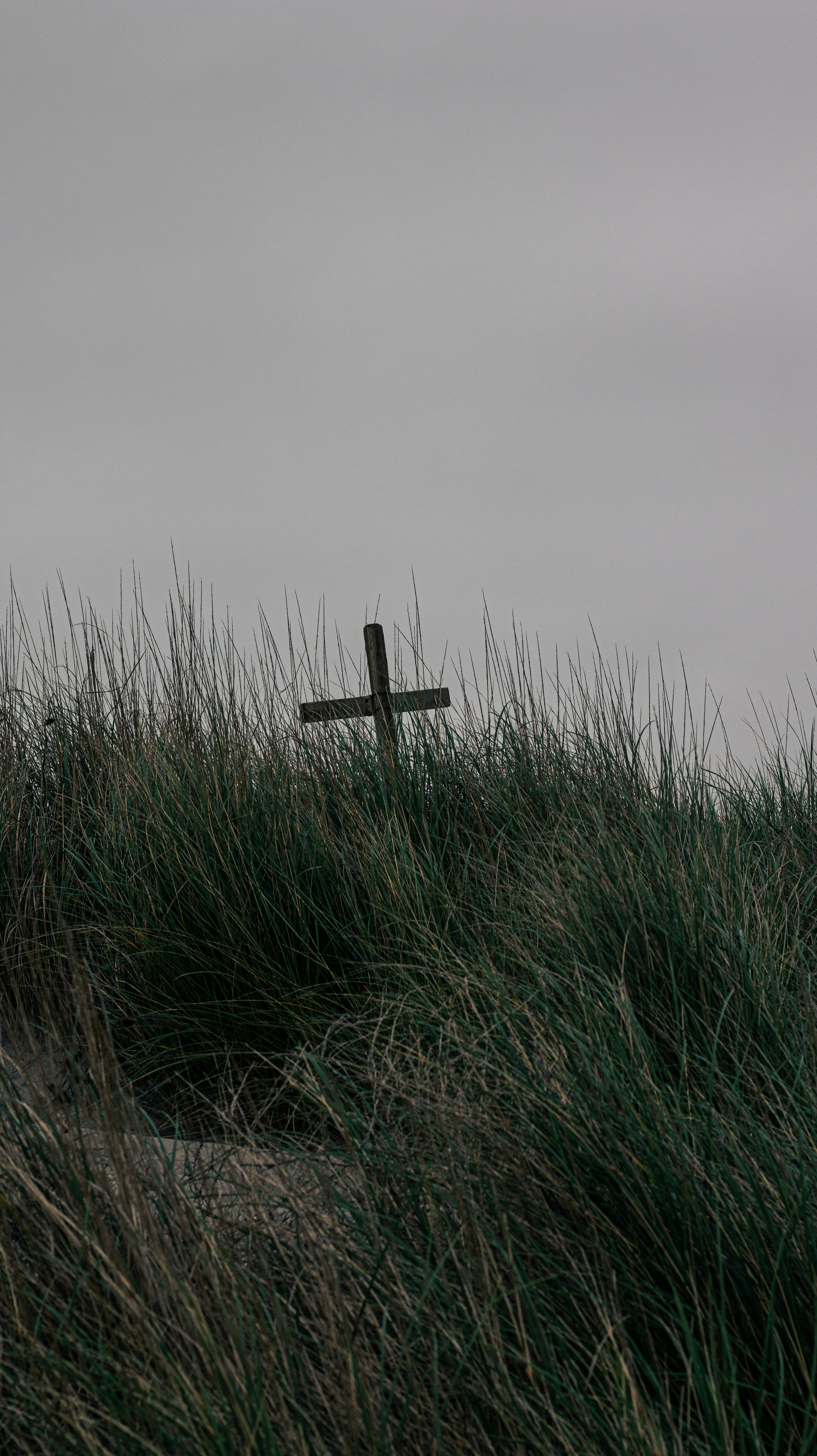 Weathered Cross Rising Through Coastal Dune Grass at Gray Light