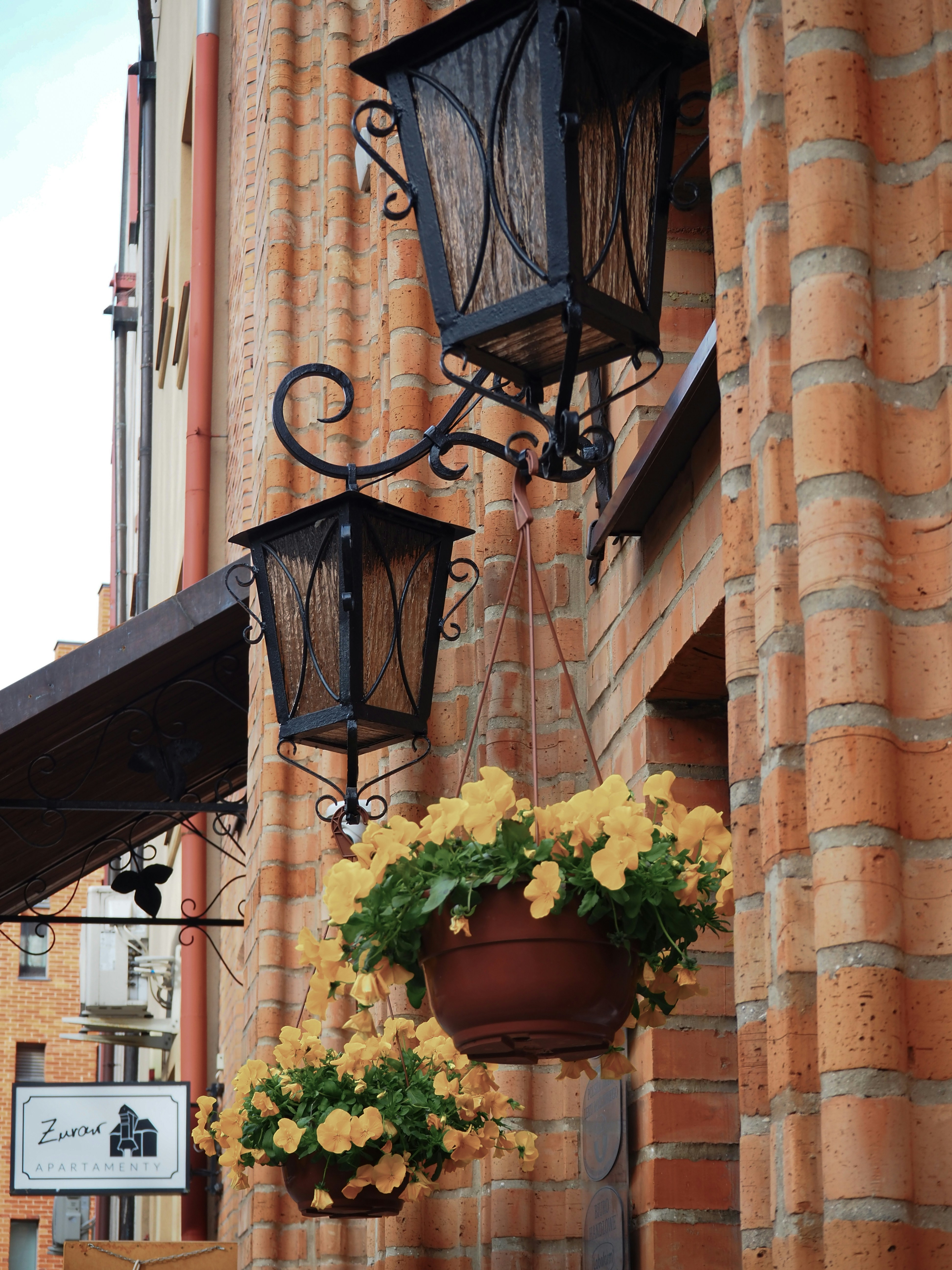Lanterns and Golden Blooms: A Brick Courtyard Portrait