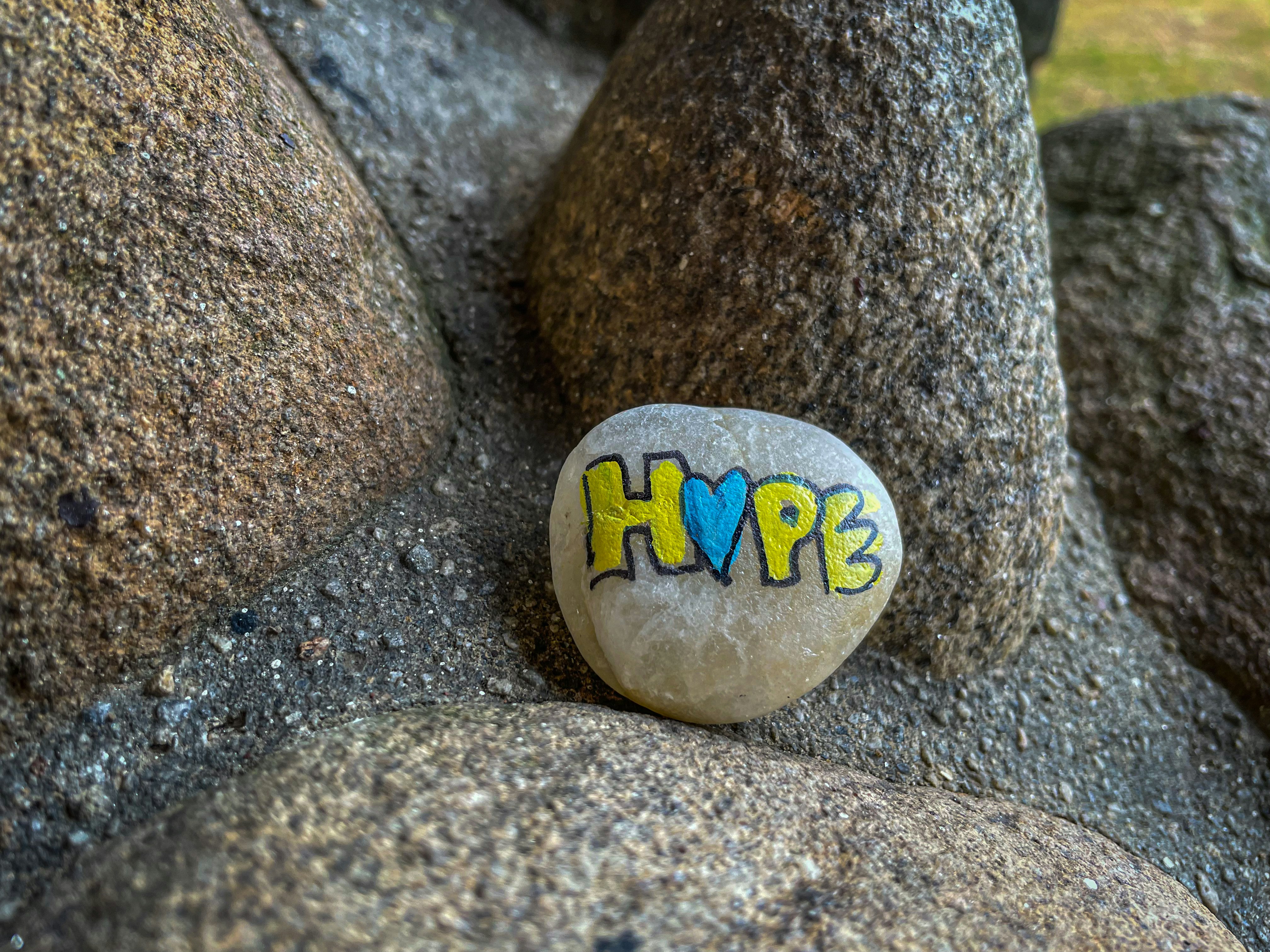 Painted pebble among coastal stones