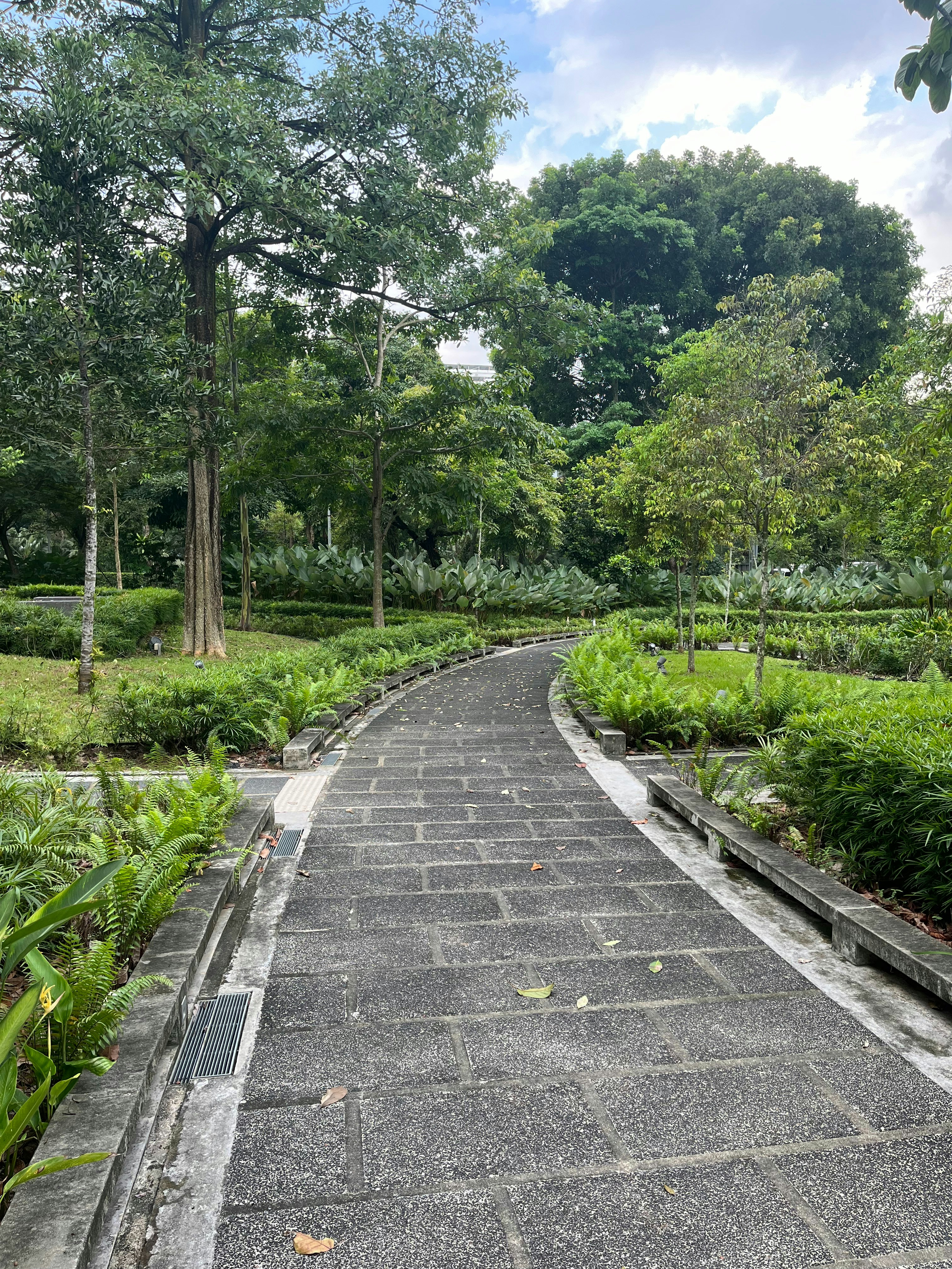 Trishit Dedhia (@trishitdedhia) | Comunidade de fotos da Unsplash