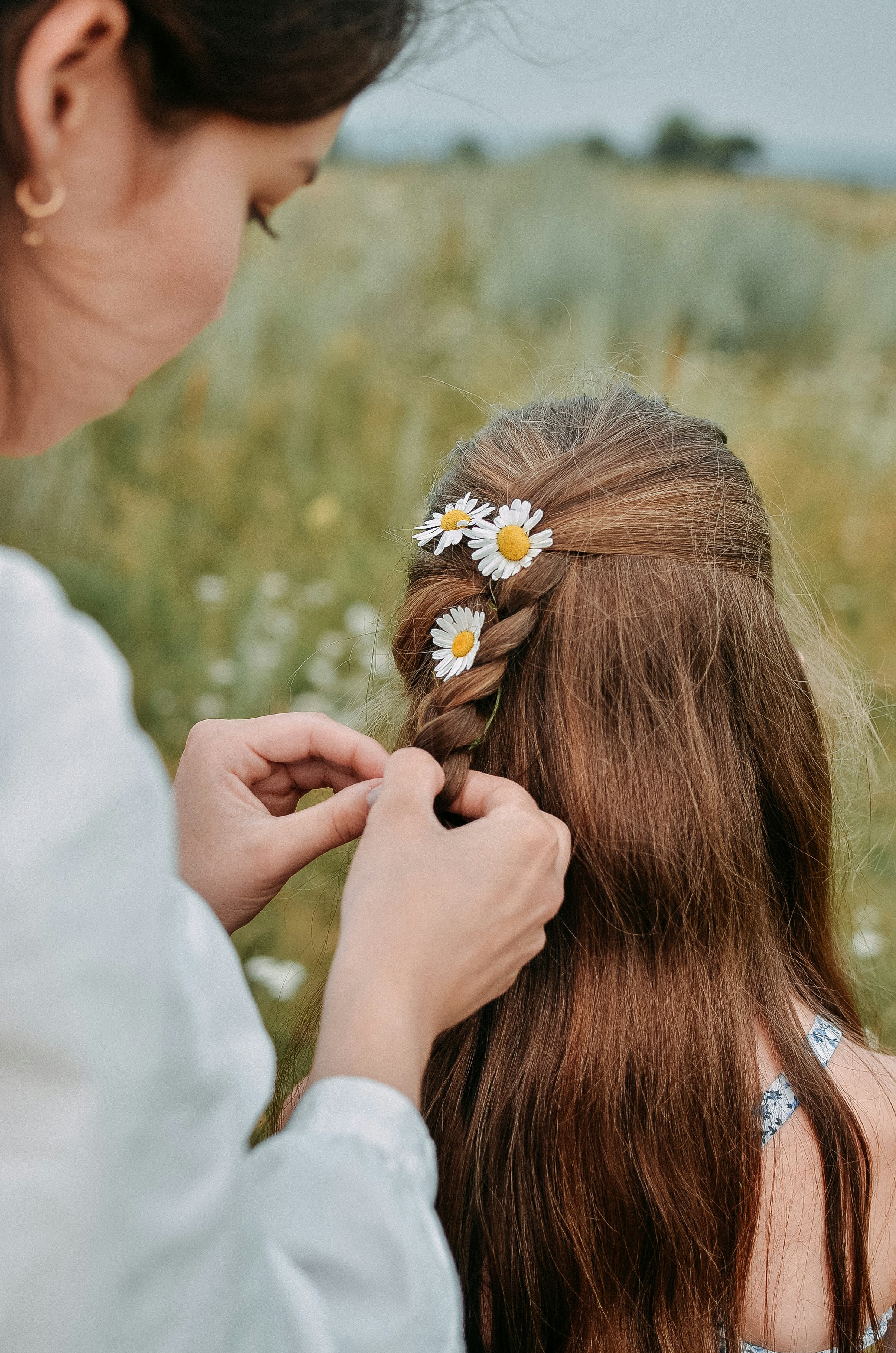 Daisy-Braid in a Sunlit Meadow: A Quiet Moment of Care