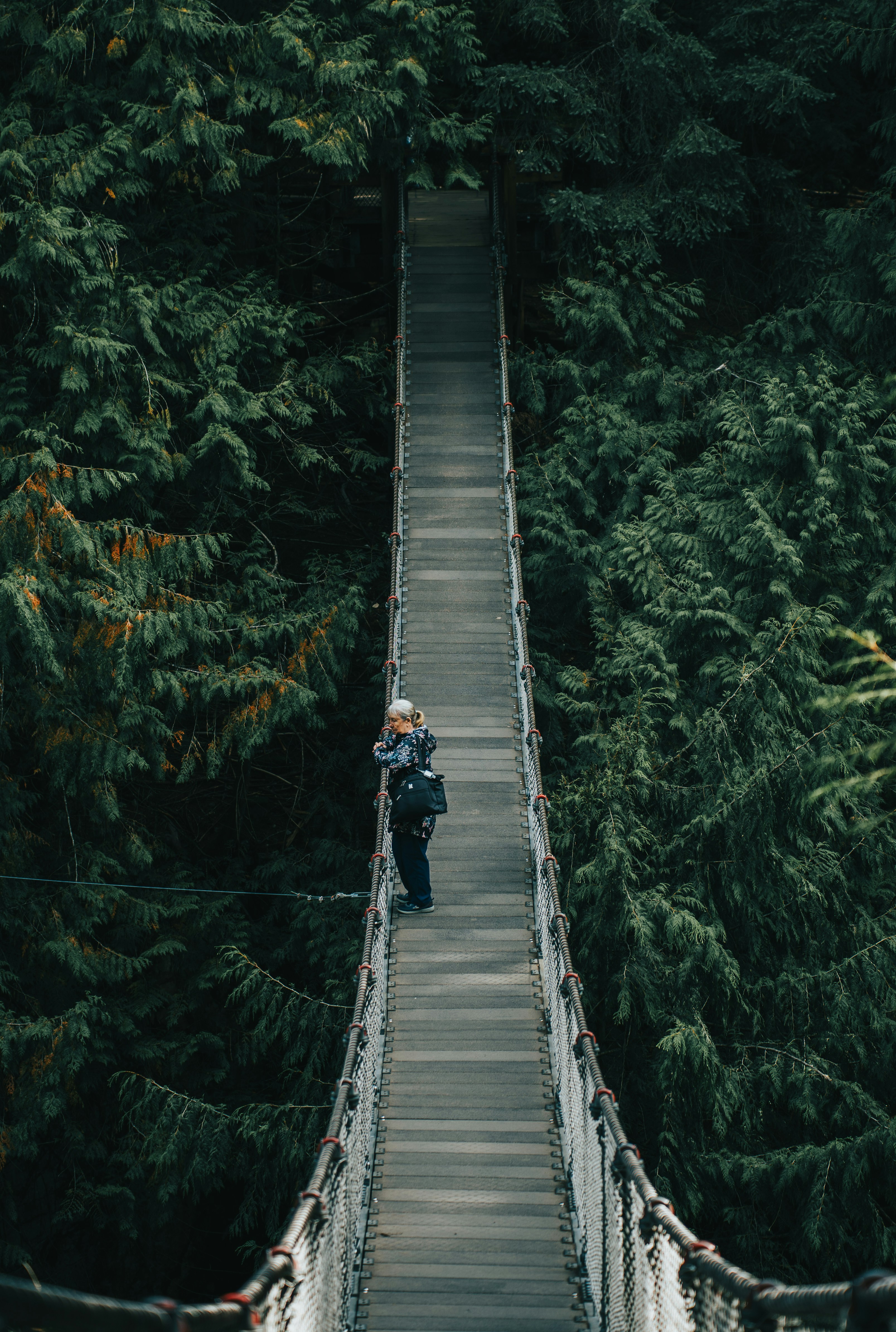 A person walking across a suspension bridge in a forest photo – Free ...