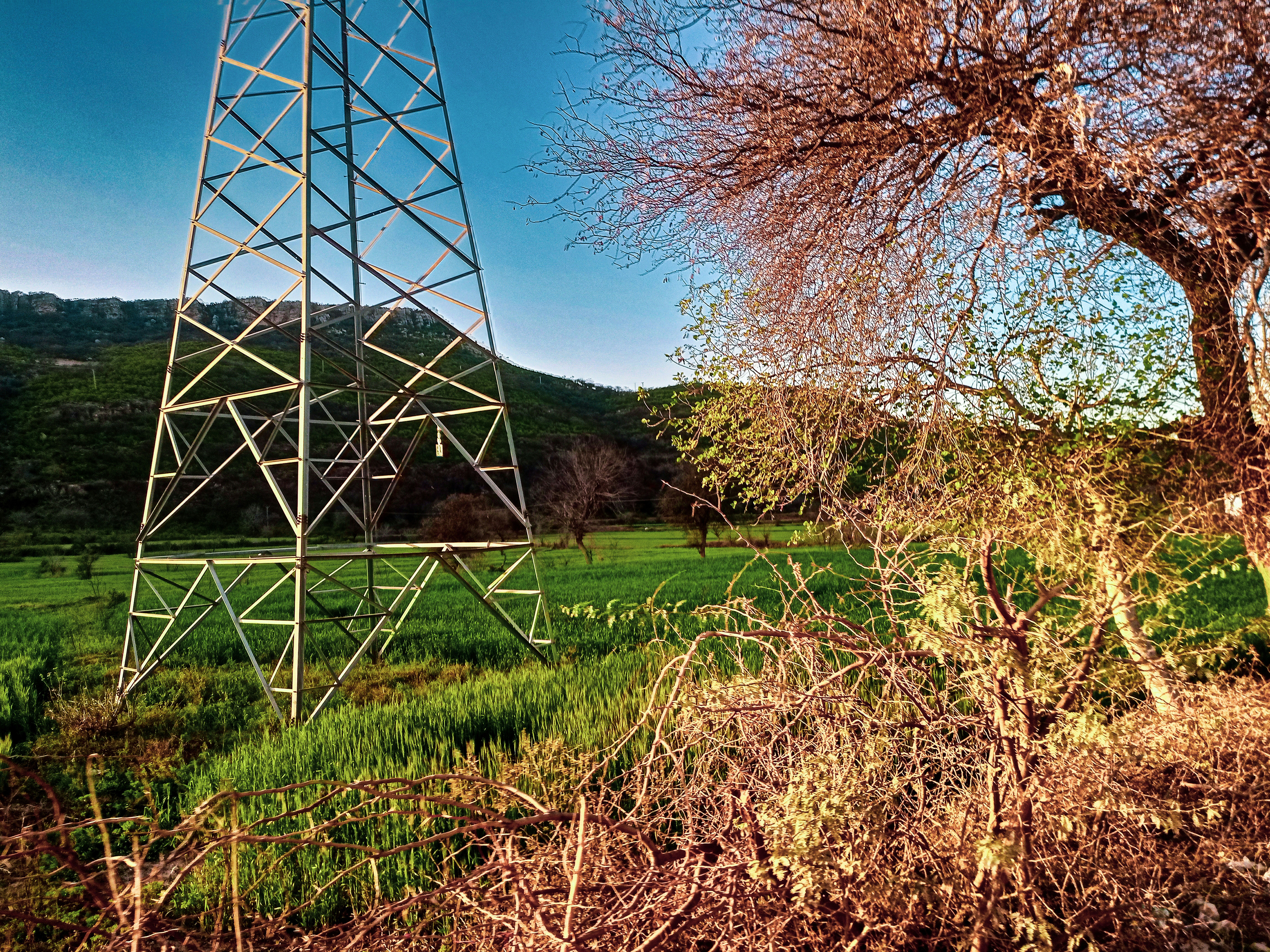 Metal tower rises beside a leafless tree against a backdrop of green fields and hills under a clear blue sky.