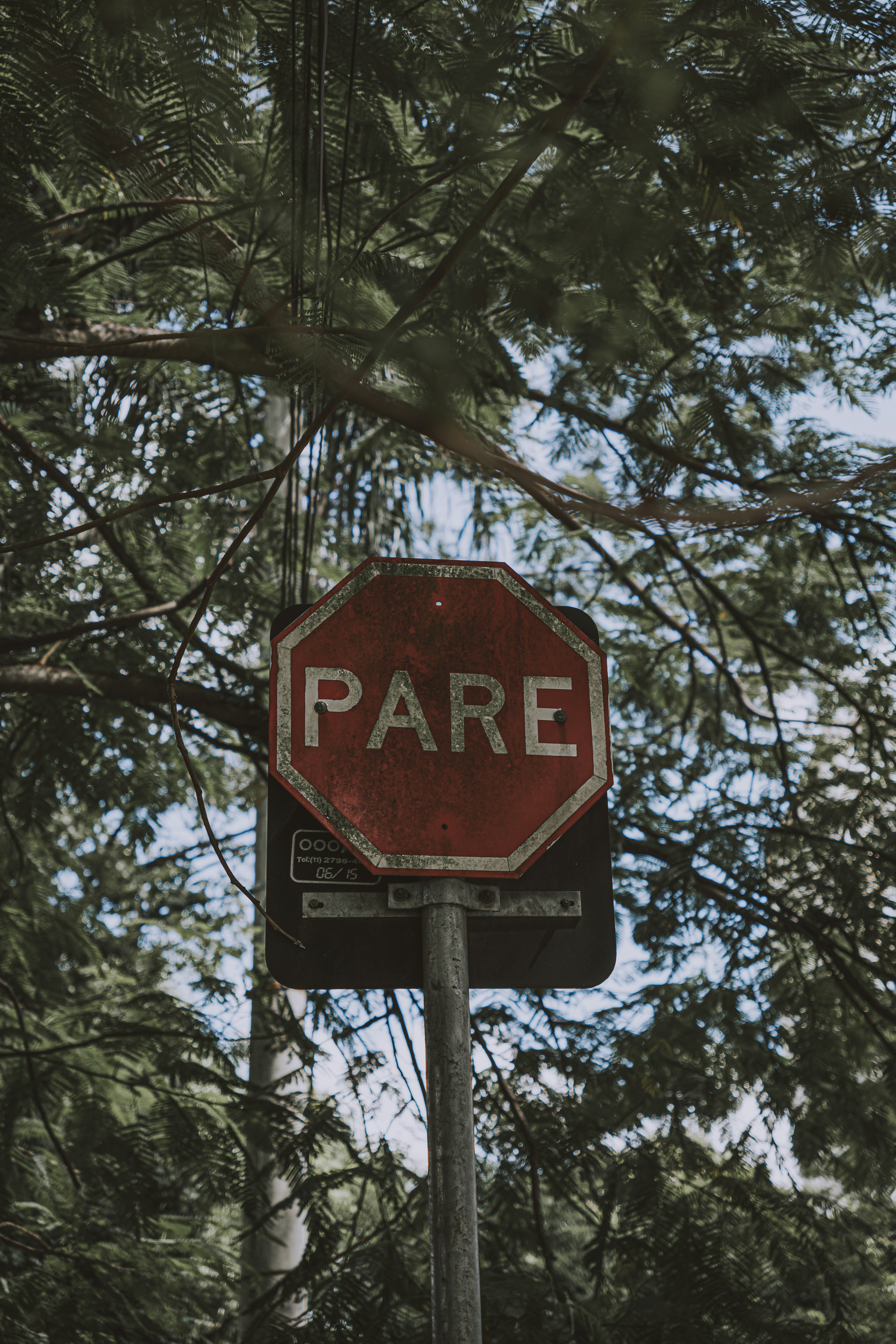 Photo by Darwin Boaventura with Sony Alpha 6400