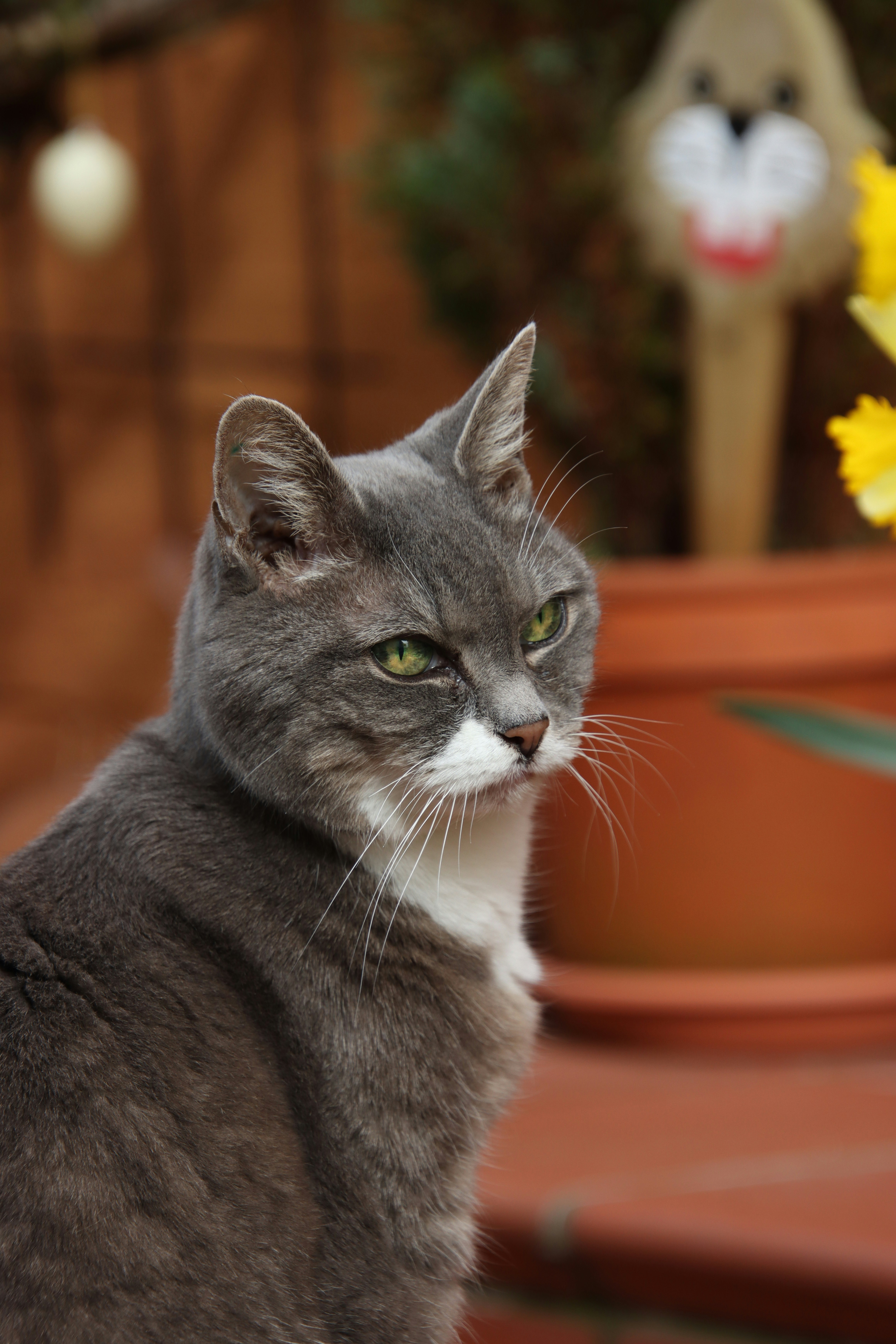 Timo Strüker (@omendarkly) | Comunidade de fotos da Unsplash