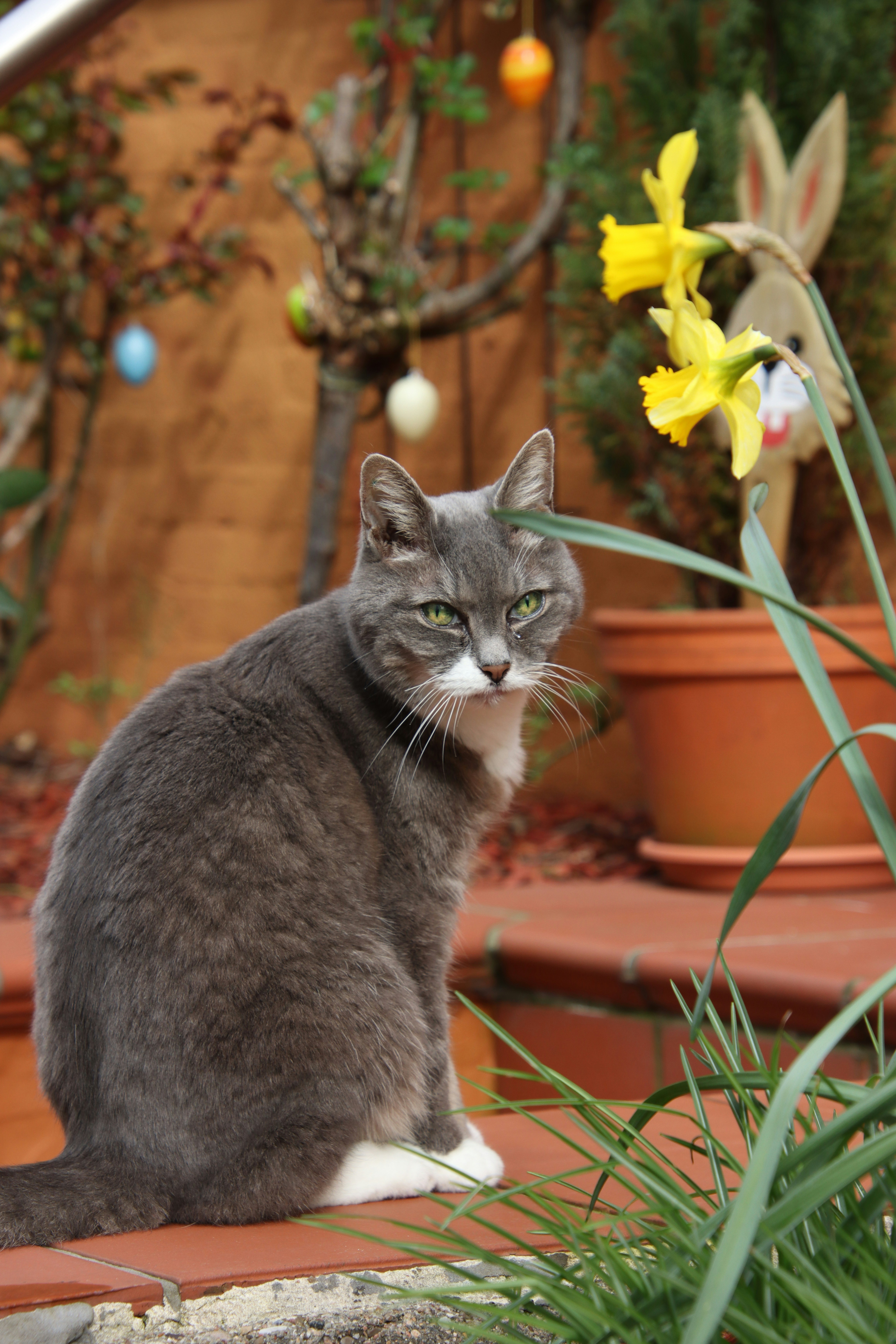 Timo Strüker (@omendarkly) | Comunidade de fotos da Unsplash