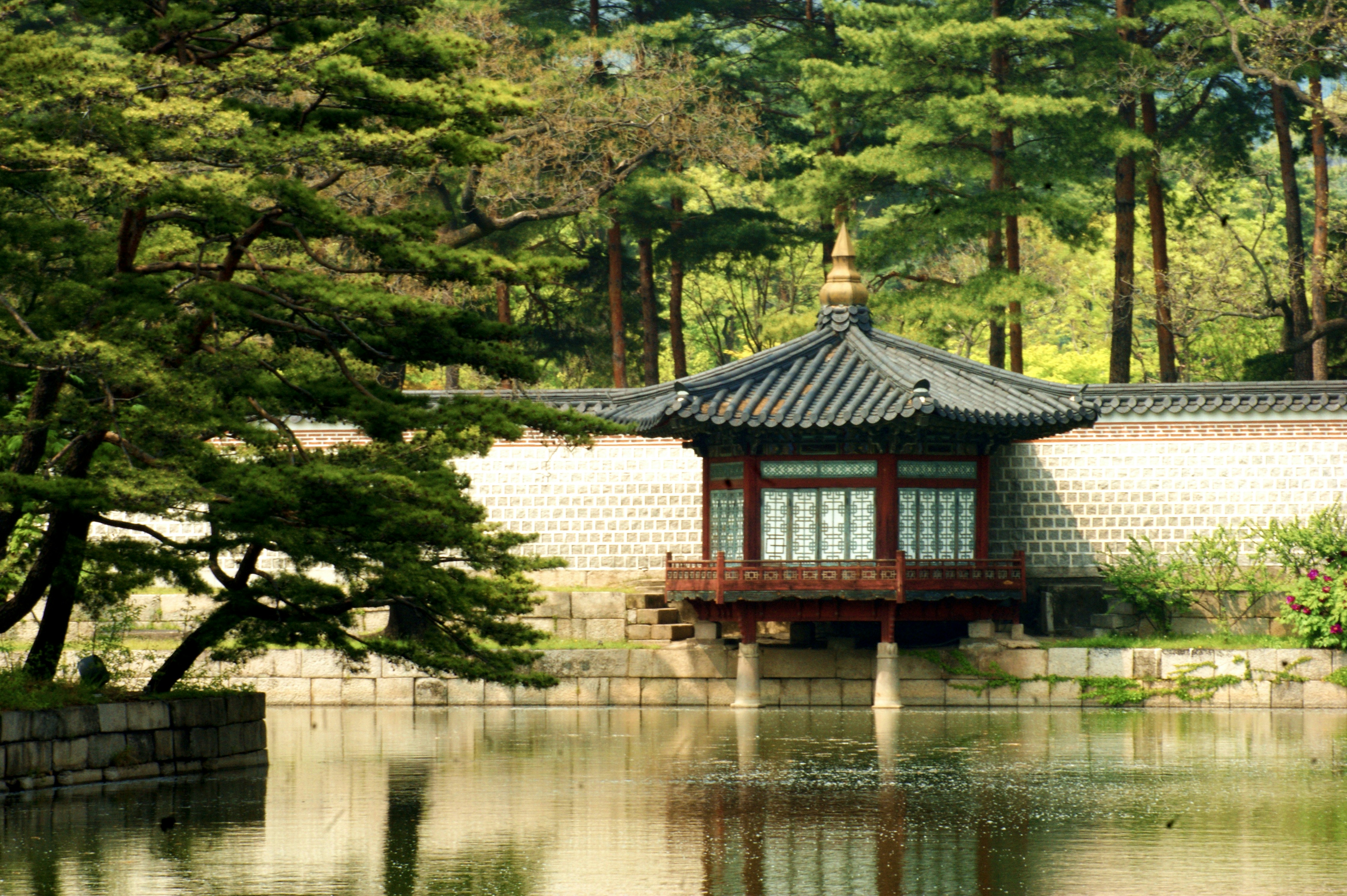 Photo by Gabriela Starzec with Sony Alpha 290