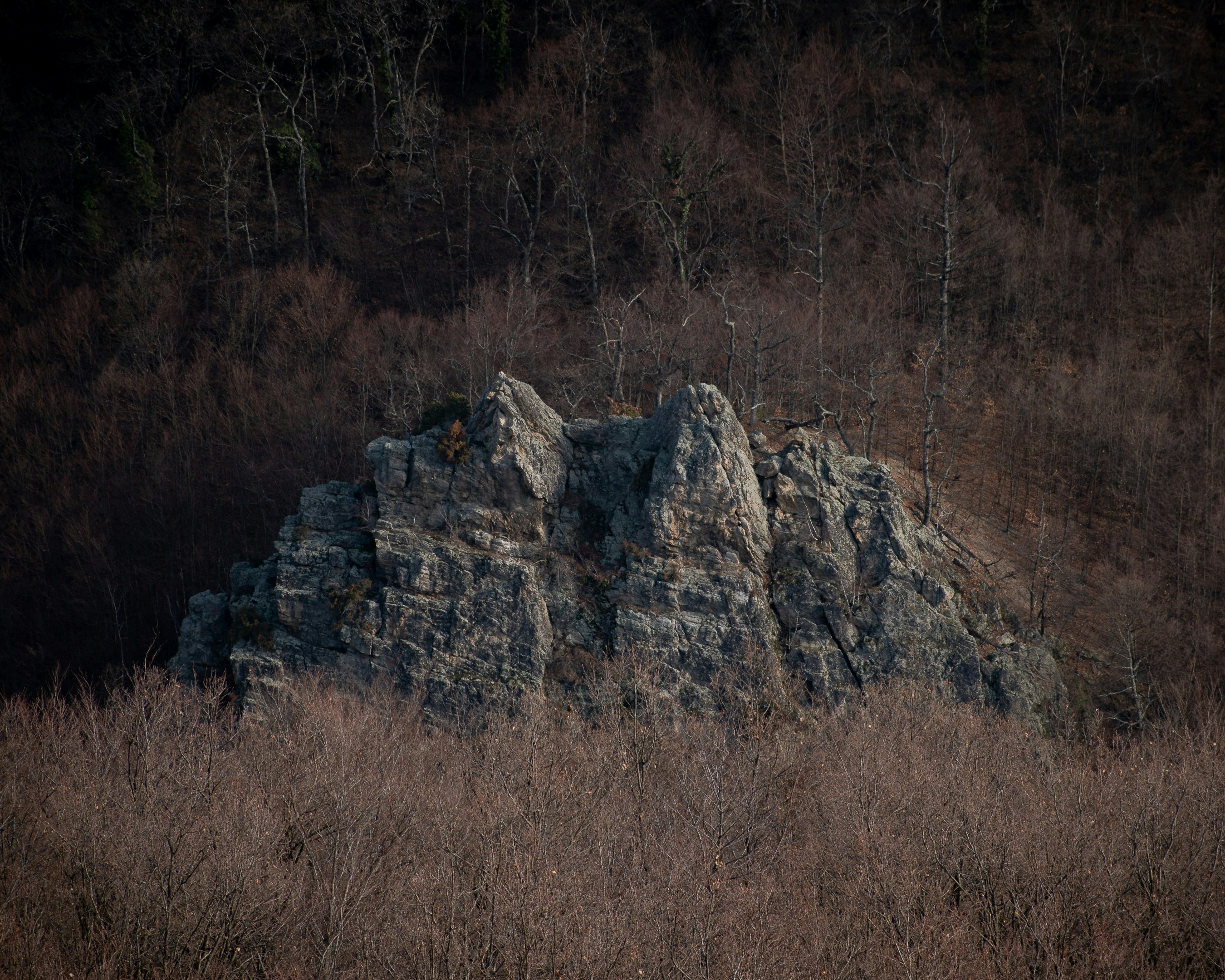 A rocky outcropping in the middle of a forest photo – Free Forest Image ...