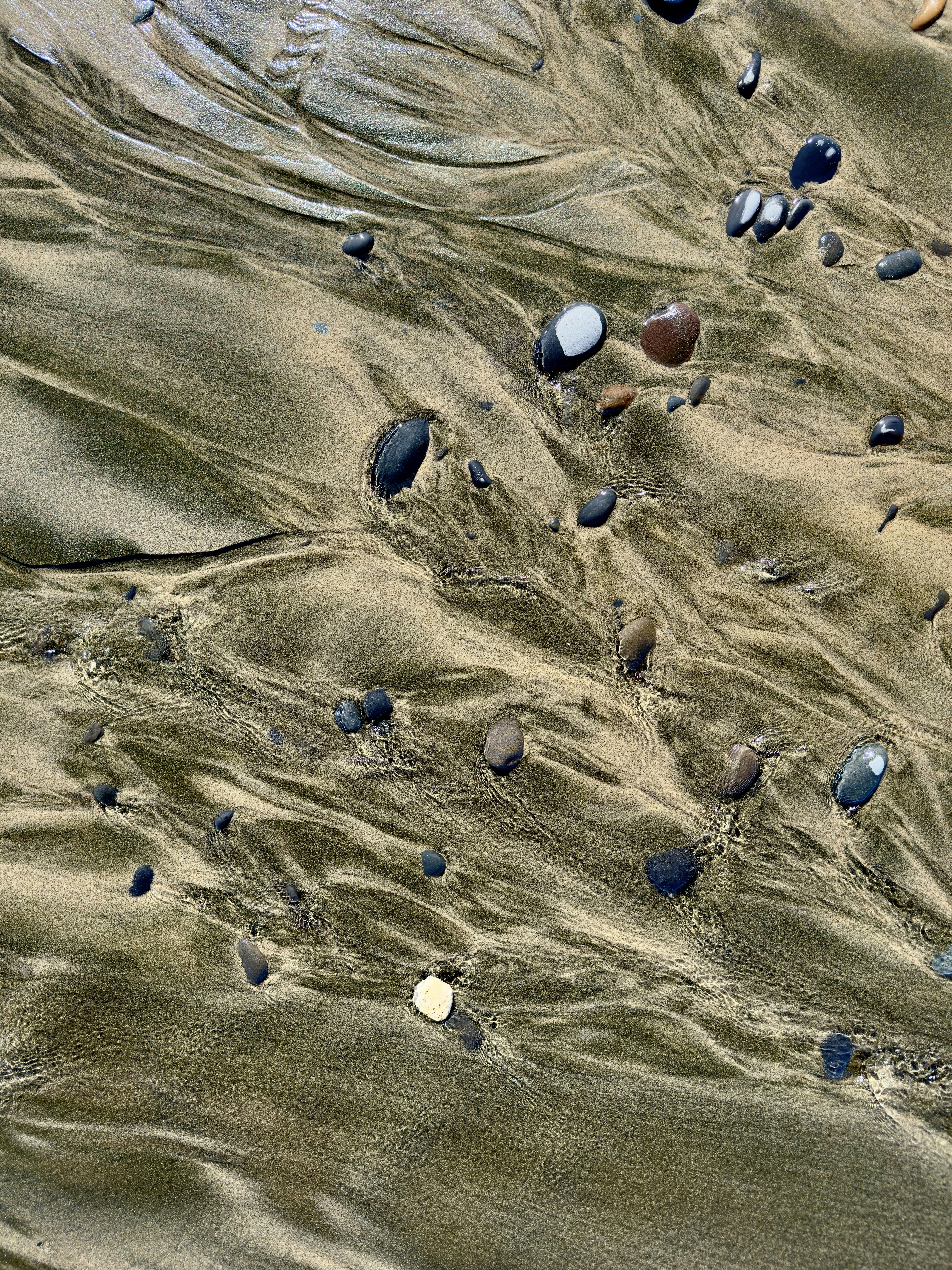 Pebble Constellations on Wind-Washed Sand