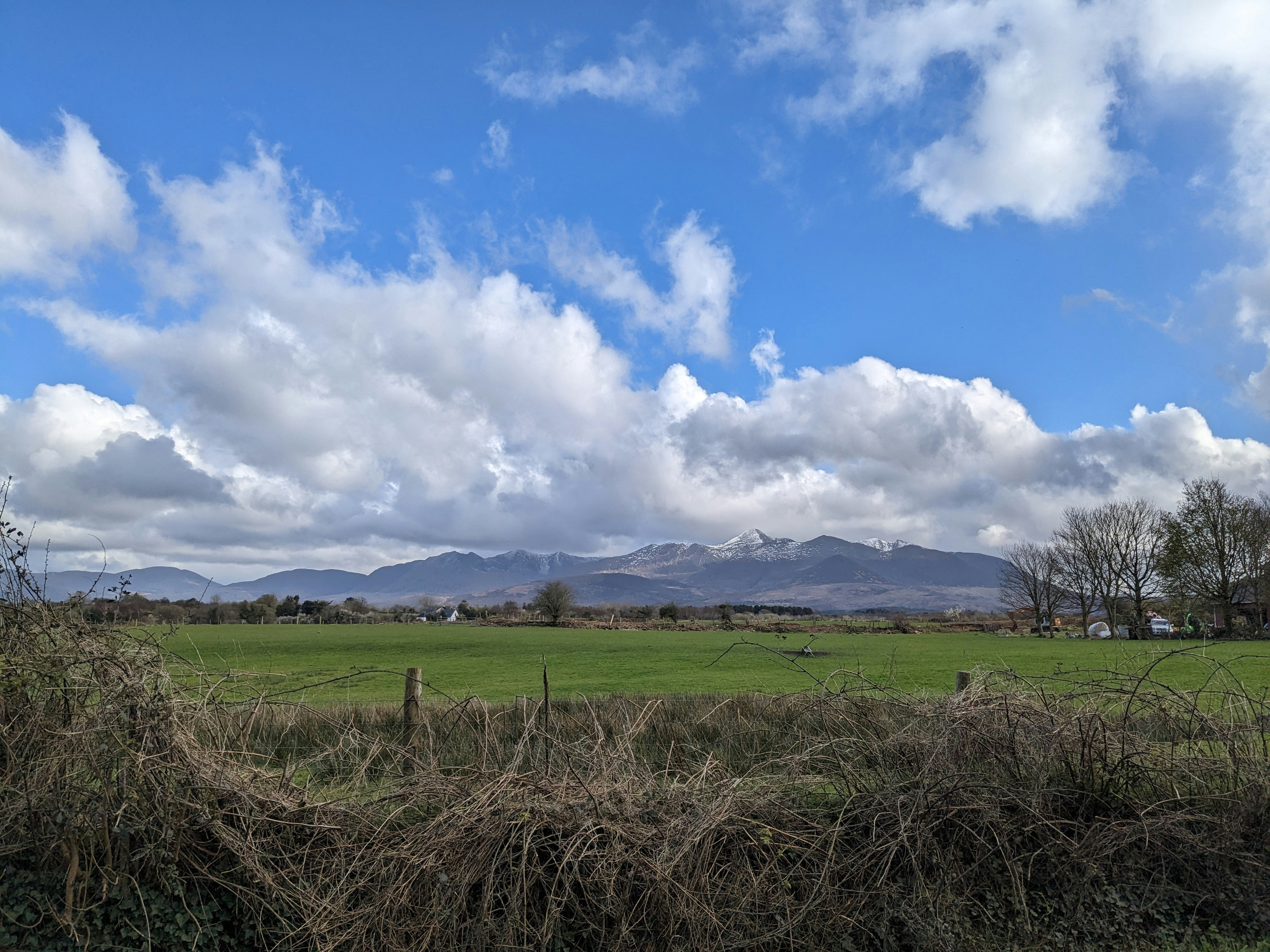 Quiet Horizon: Snow-tipped Peaks over Green Pastures