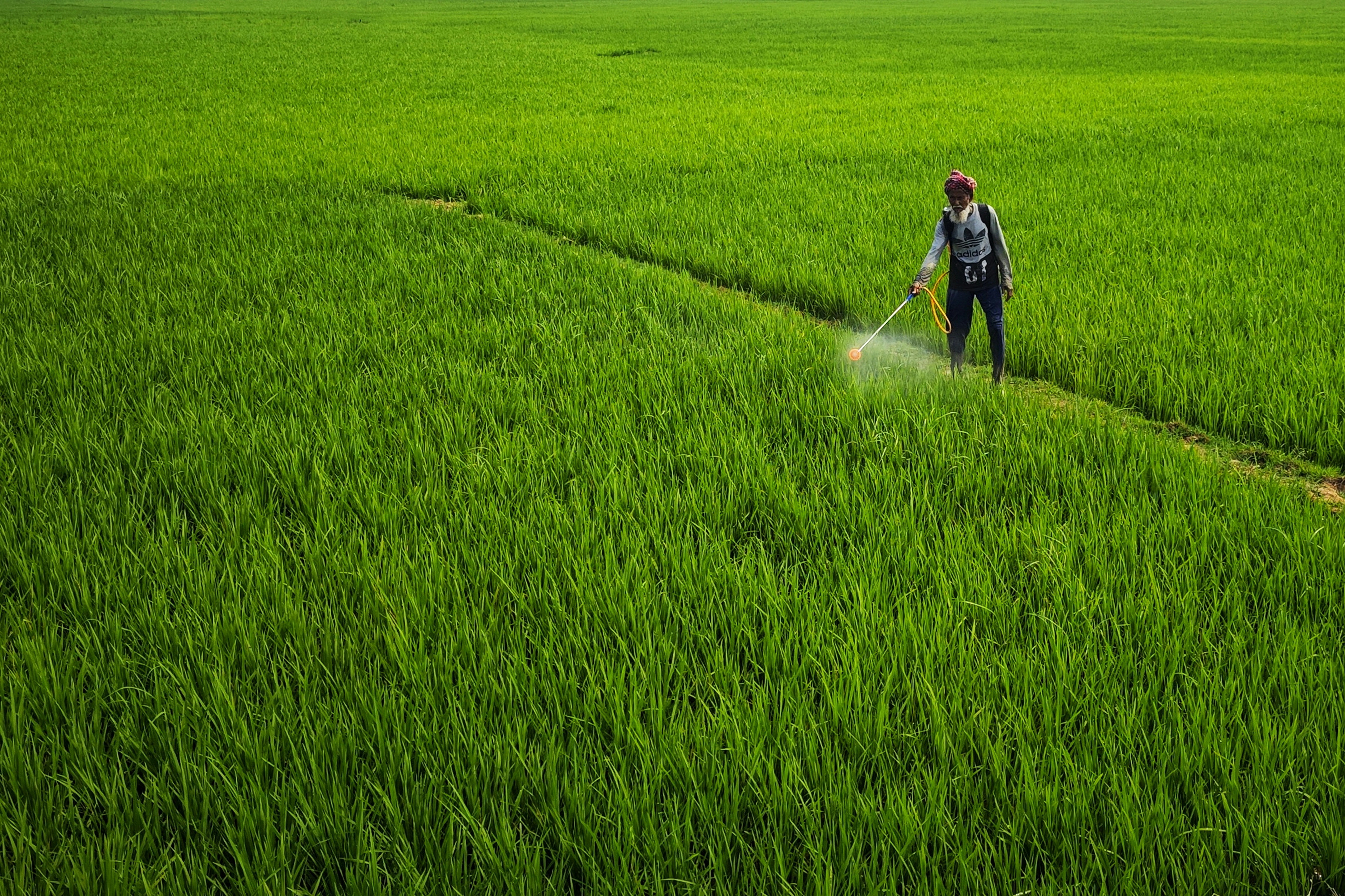 Photo by Dibakar Roy with Xiaomi 13 Pro