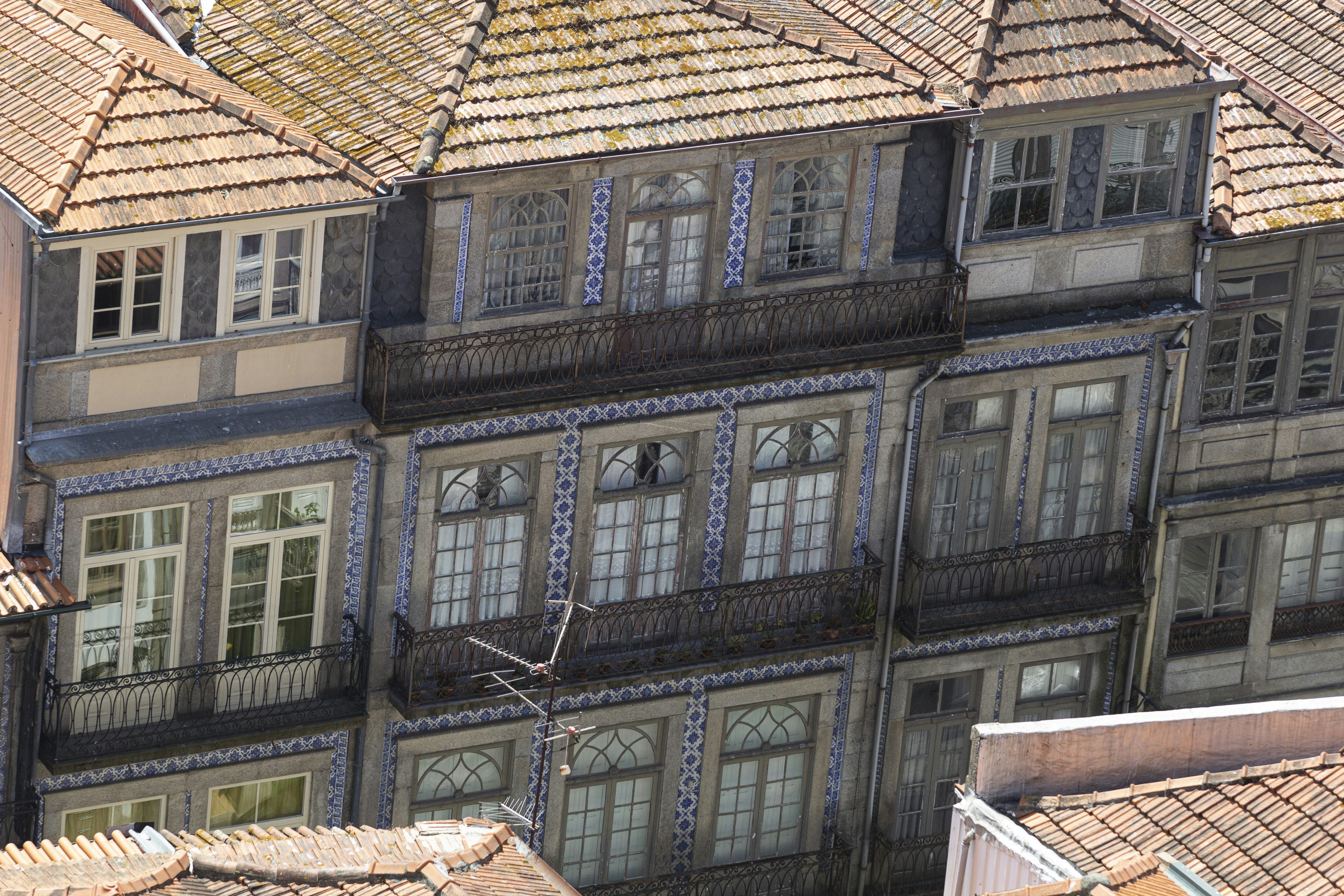 Photo by Claudia Salamone with Canon EOS 60D