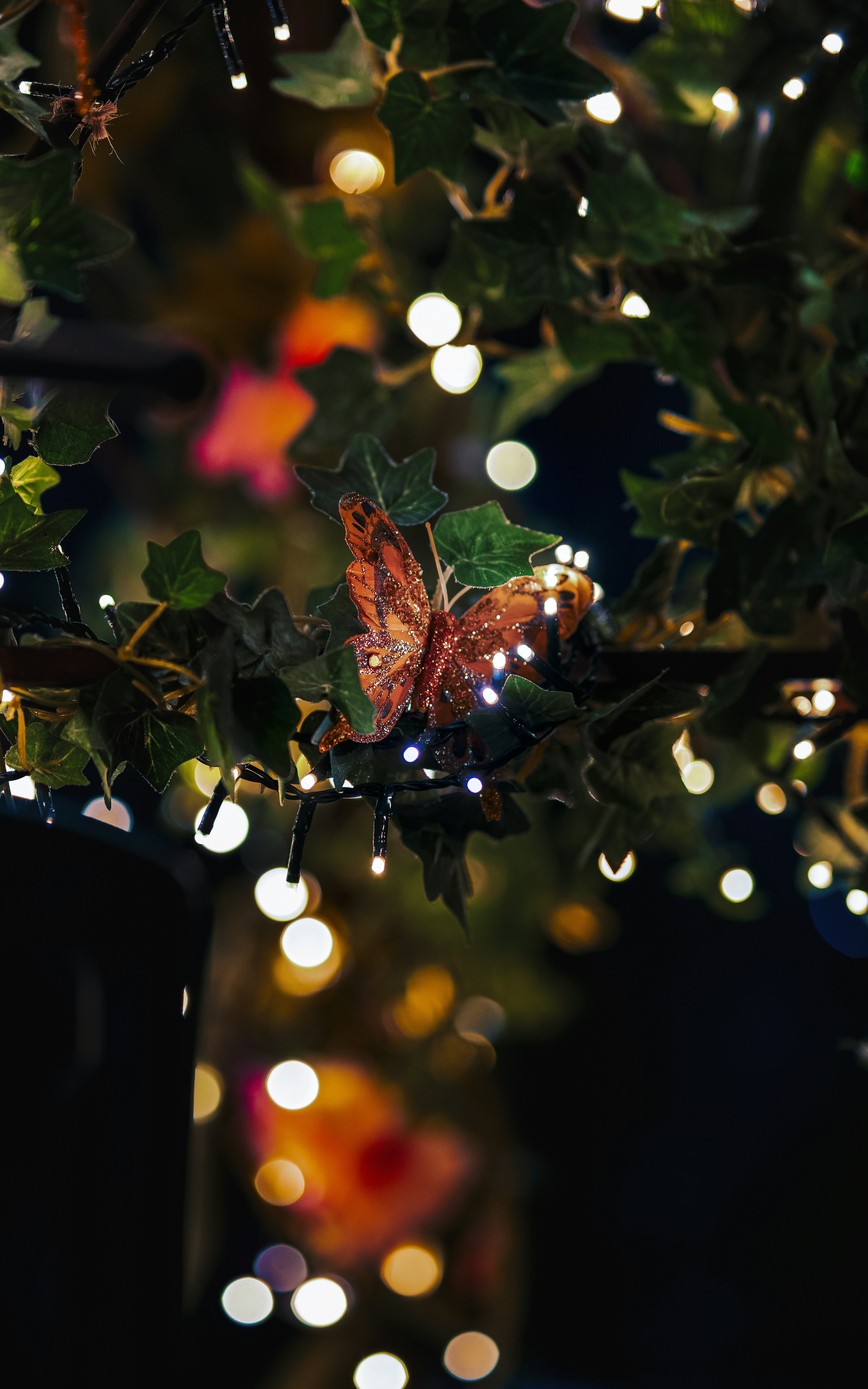 Glimmering Butterfly Among Ivy and Holiday Lights