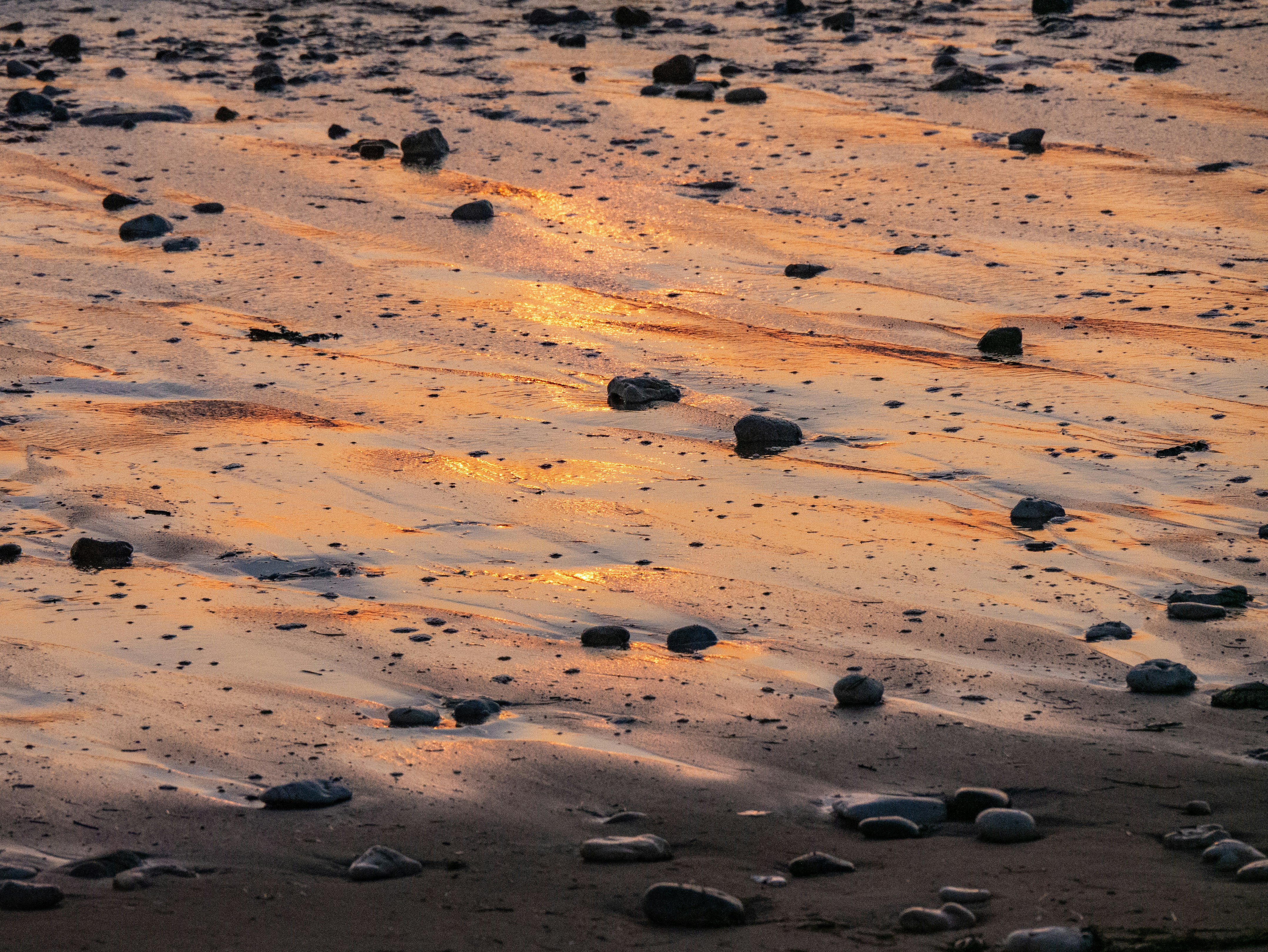 Orange Echoes on a Pebble-Strewn Shore at Dusk