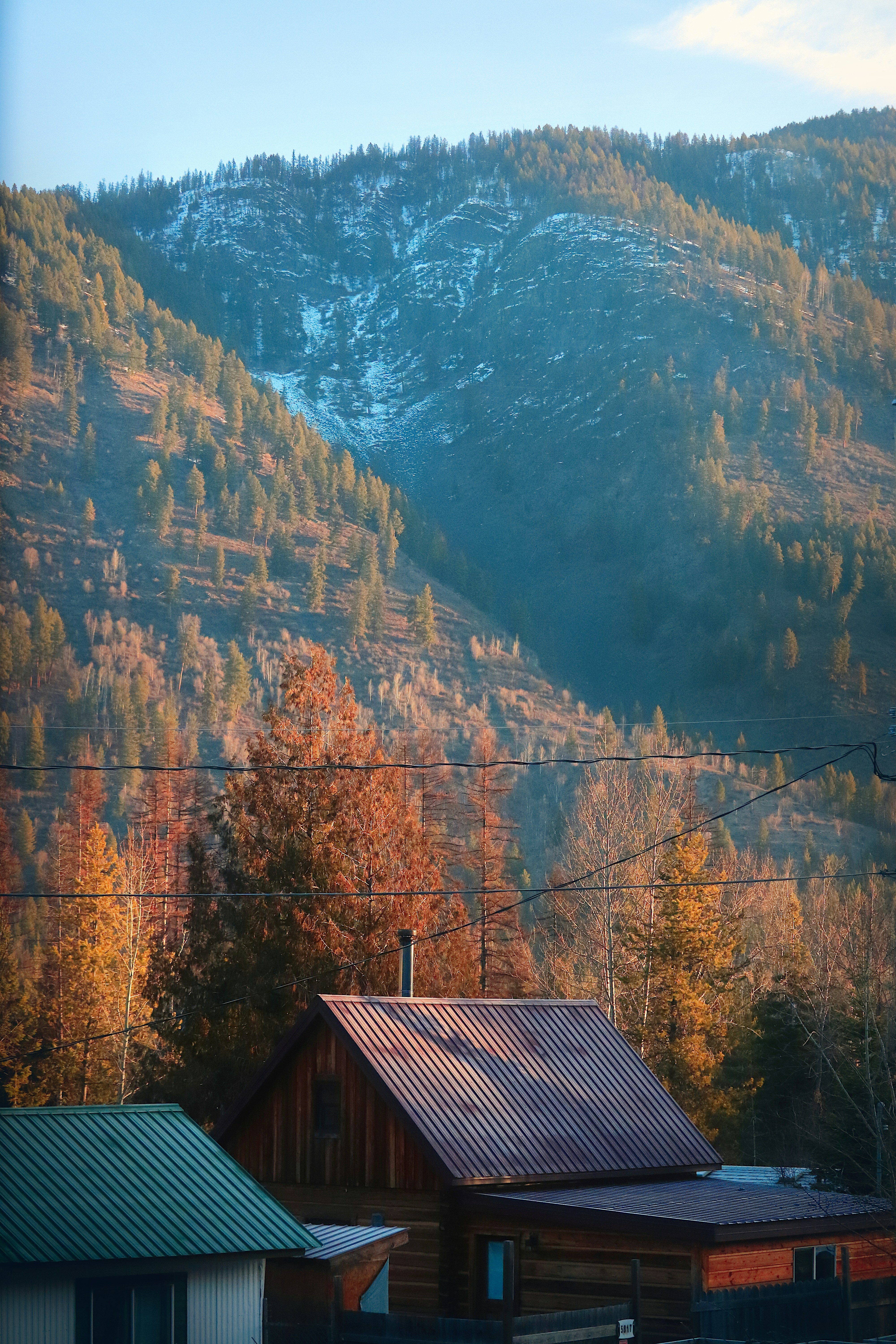 View from kitchen window, British Columbia.