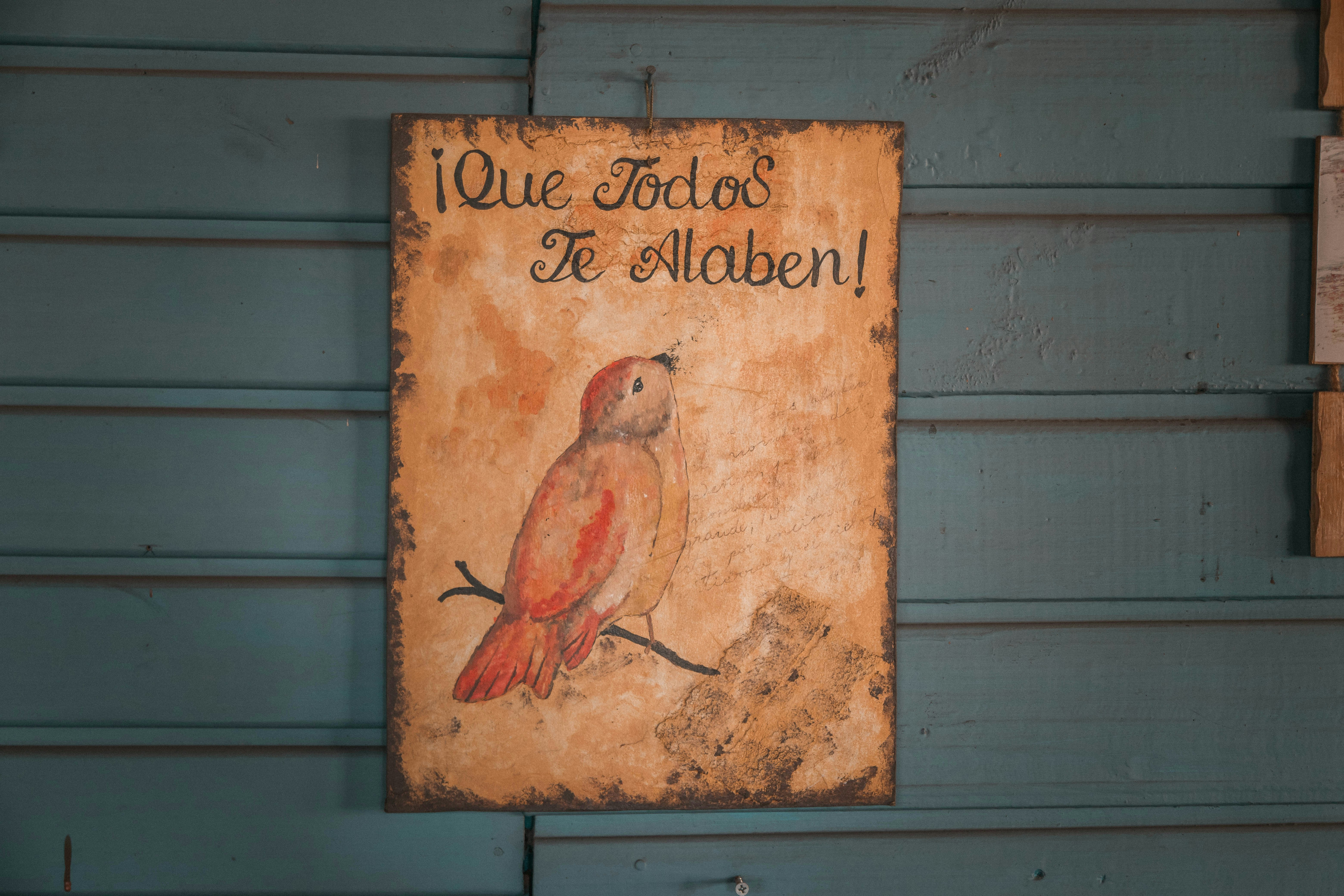 Red Bird on a Weathered Sign Set Against Blue Wood Planks