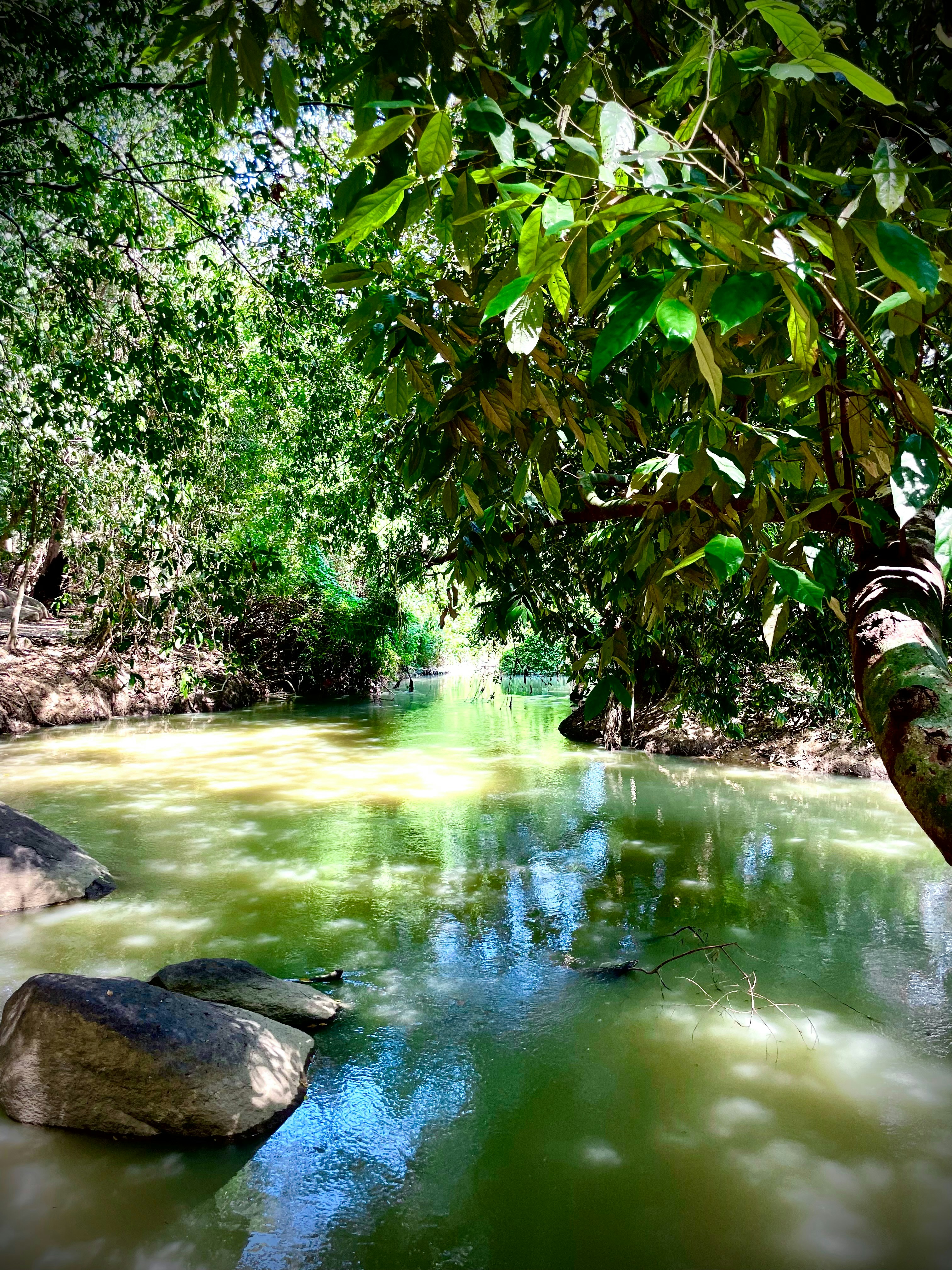 Yu Rie (@yu0612) | Comunidade de fotos da Unsplash