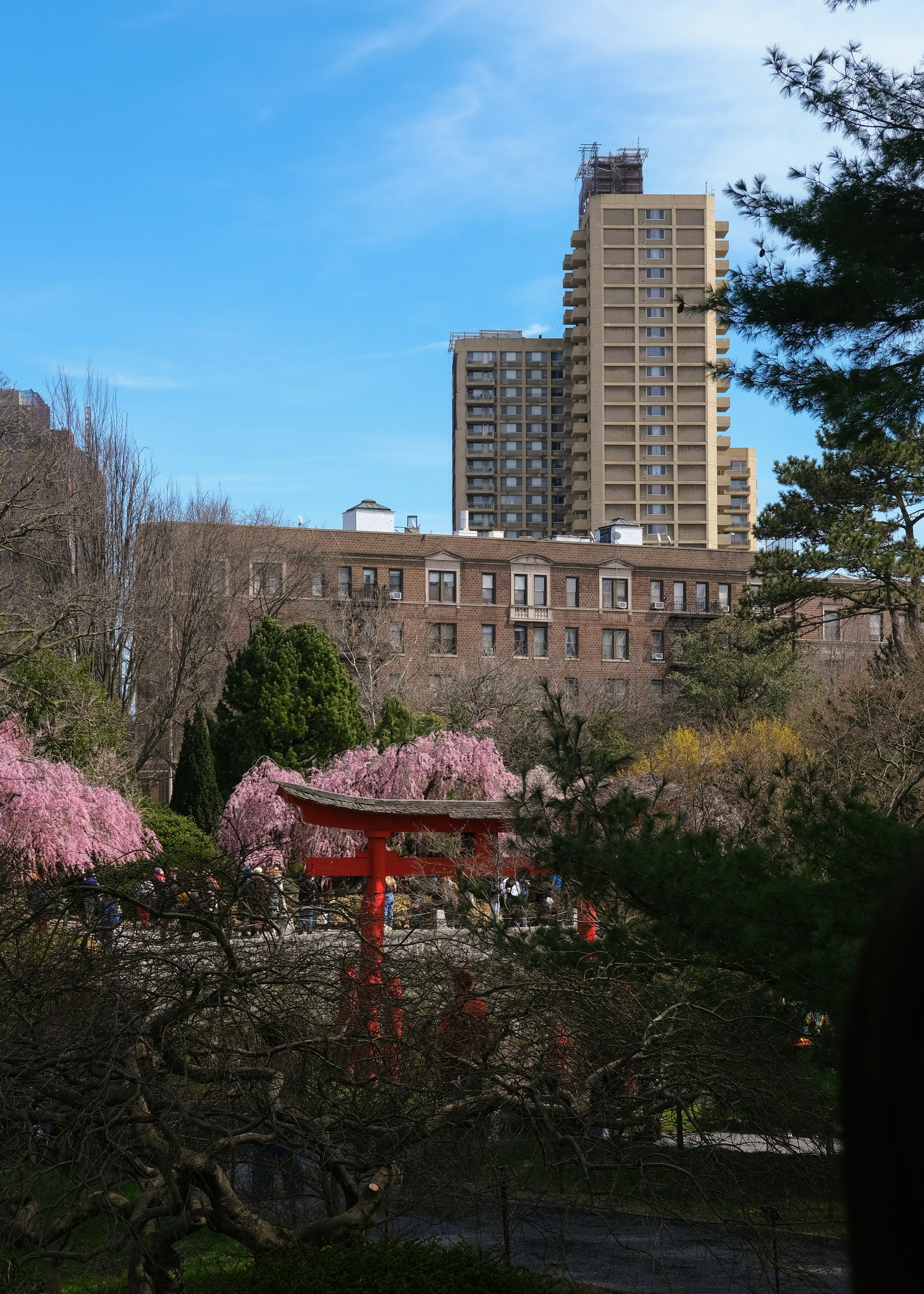 Red Torii Gate Amid Spring Blossoms Framing a City Skyline