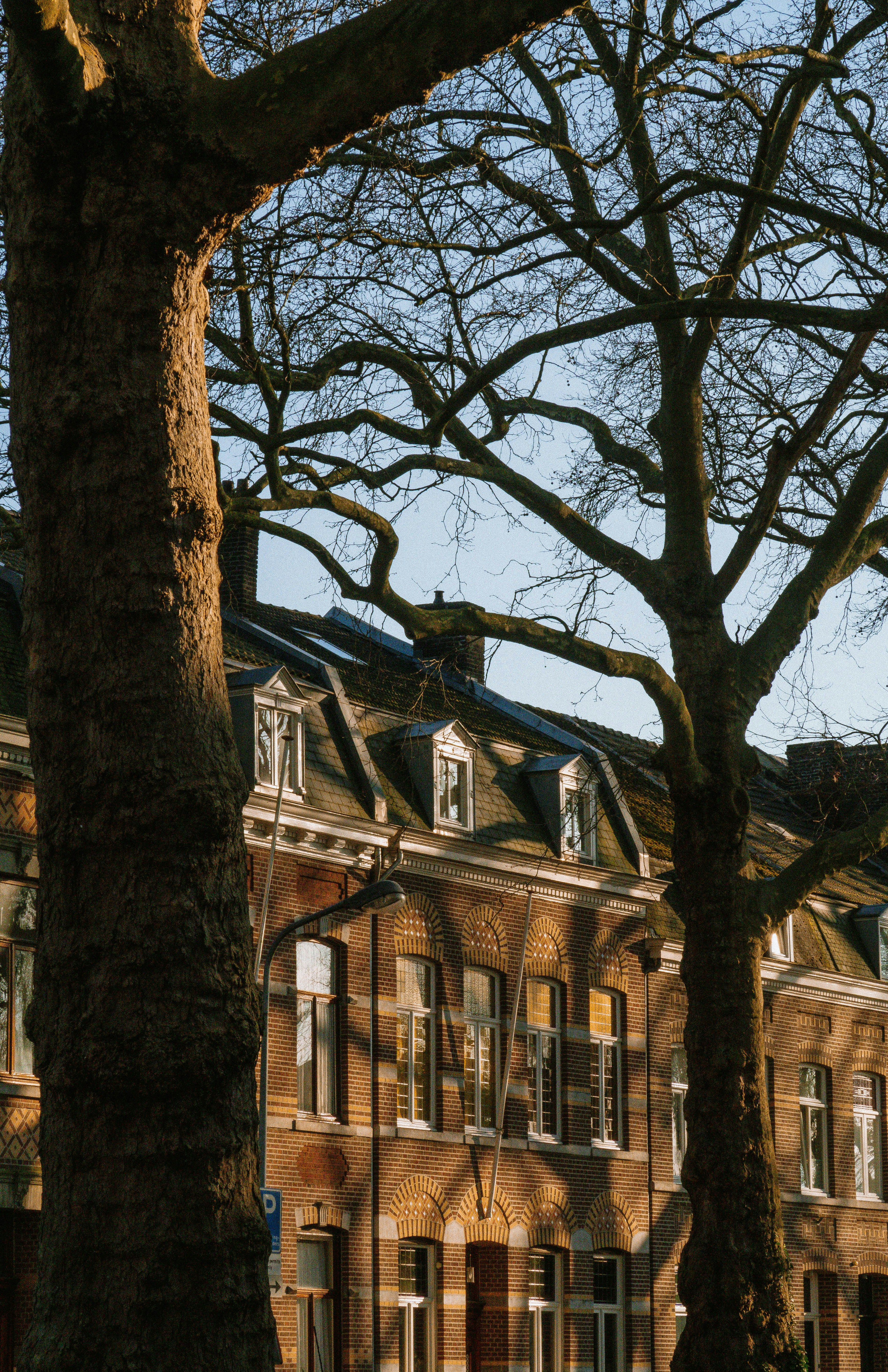 Photo by Keith Mapeki with Canon PowerShot G7 X Mark II