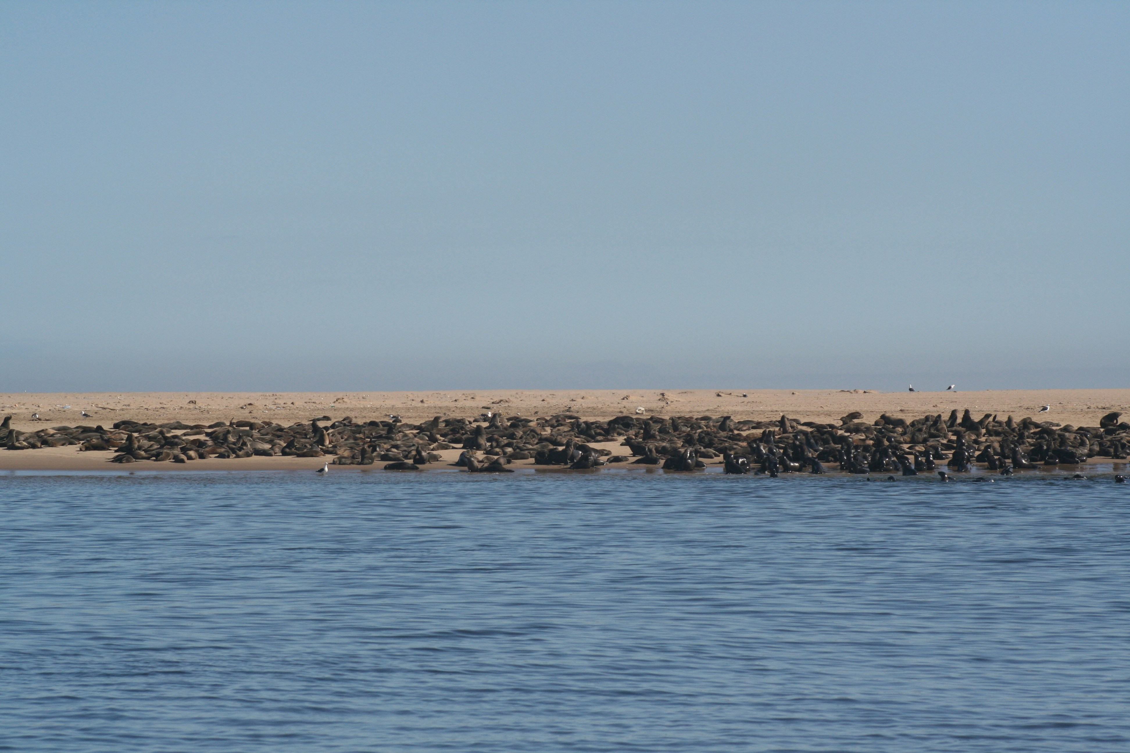 Photo by Amir Mortezaie with Canon EOS 400D