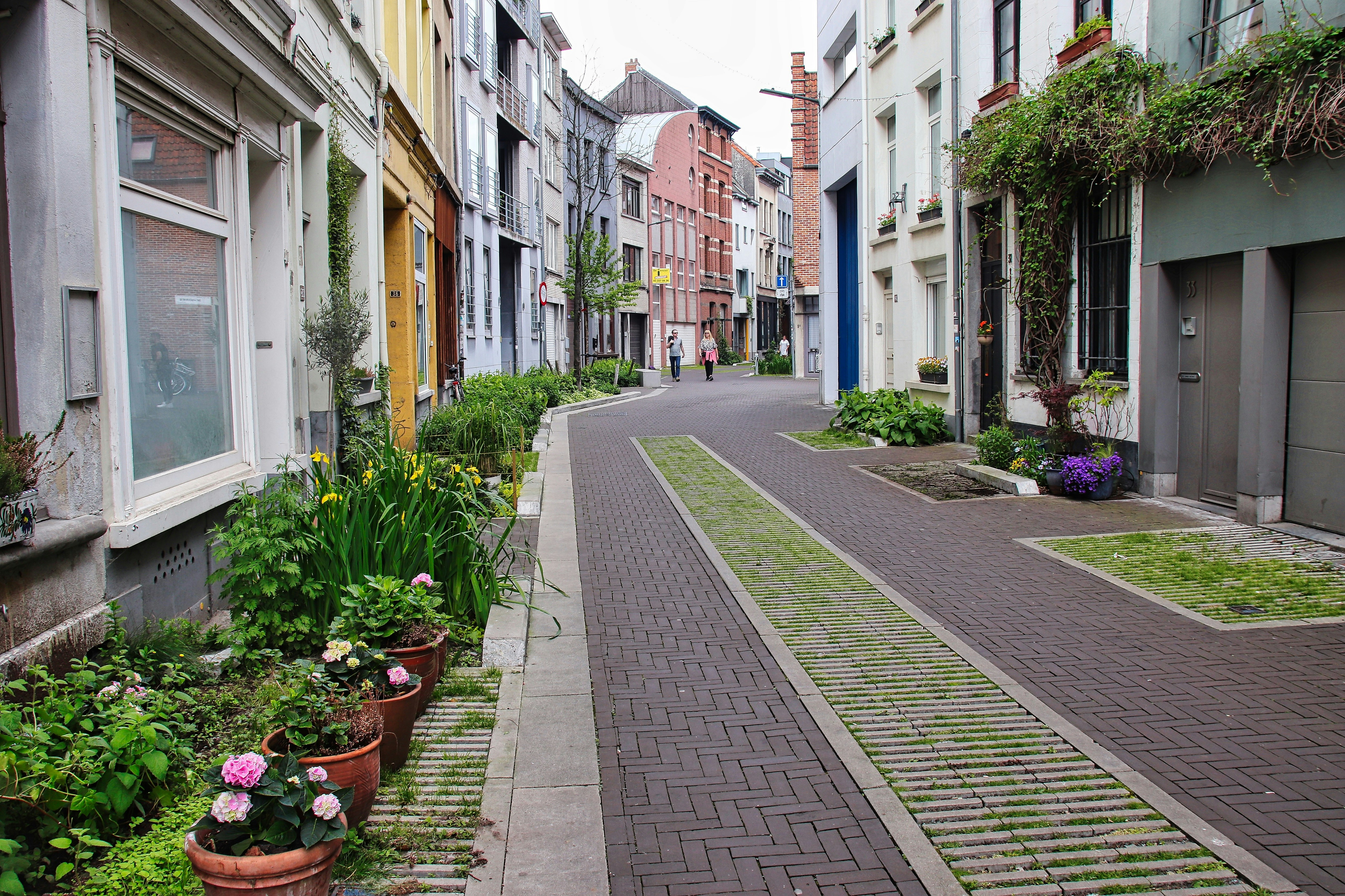 Narrow street lined with colorful buildings and lush potted plants, featuring a central green strip.