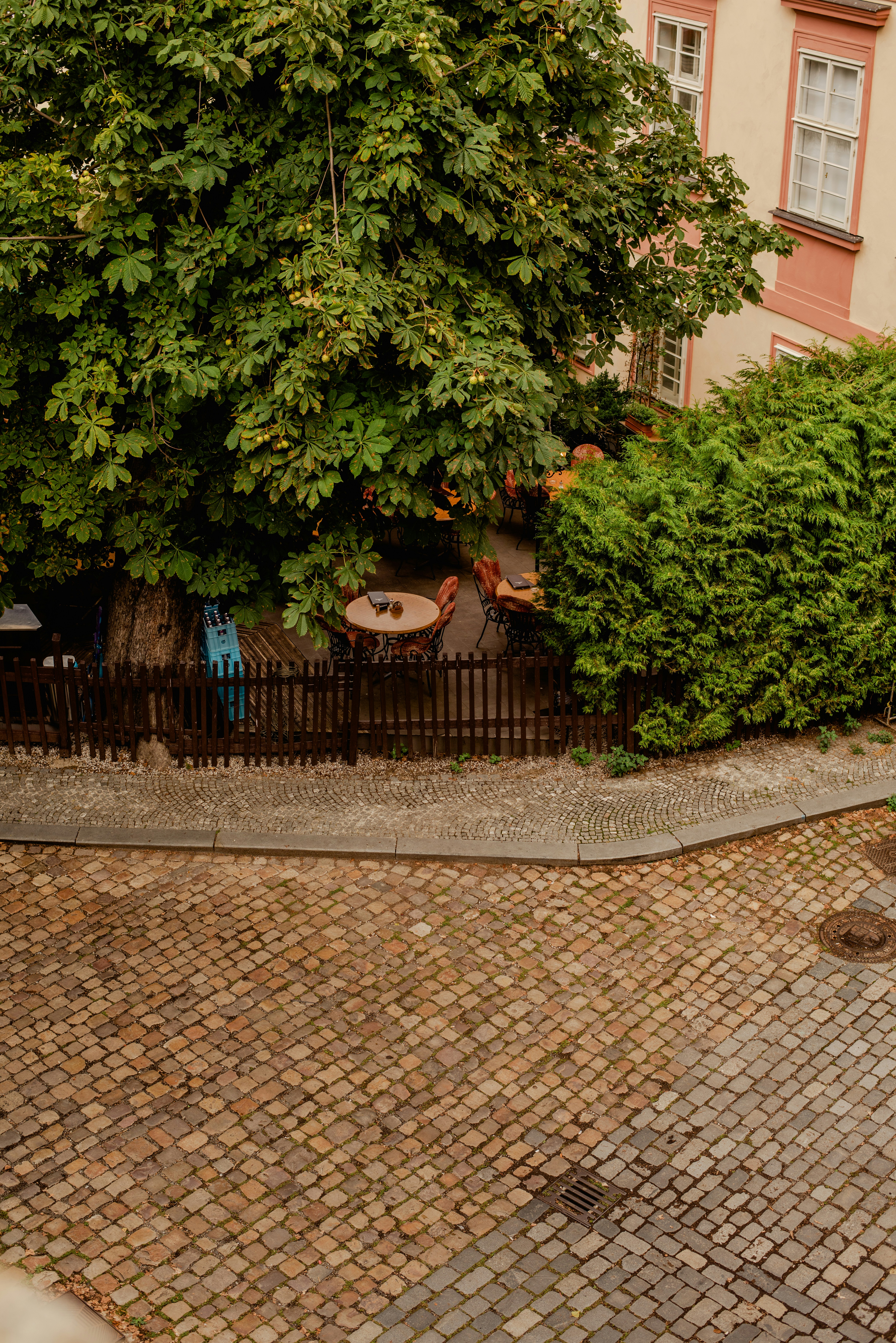 Shade and Stone: A Cobblestone Café Courtyard Woven Under a Lush Canopy