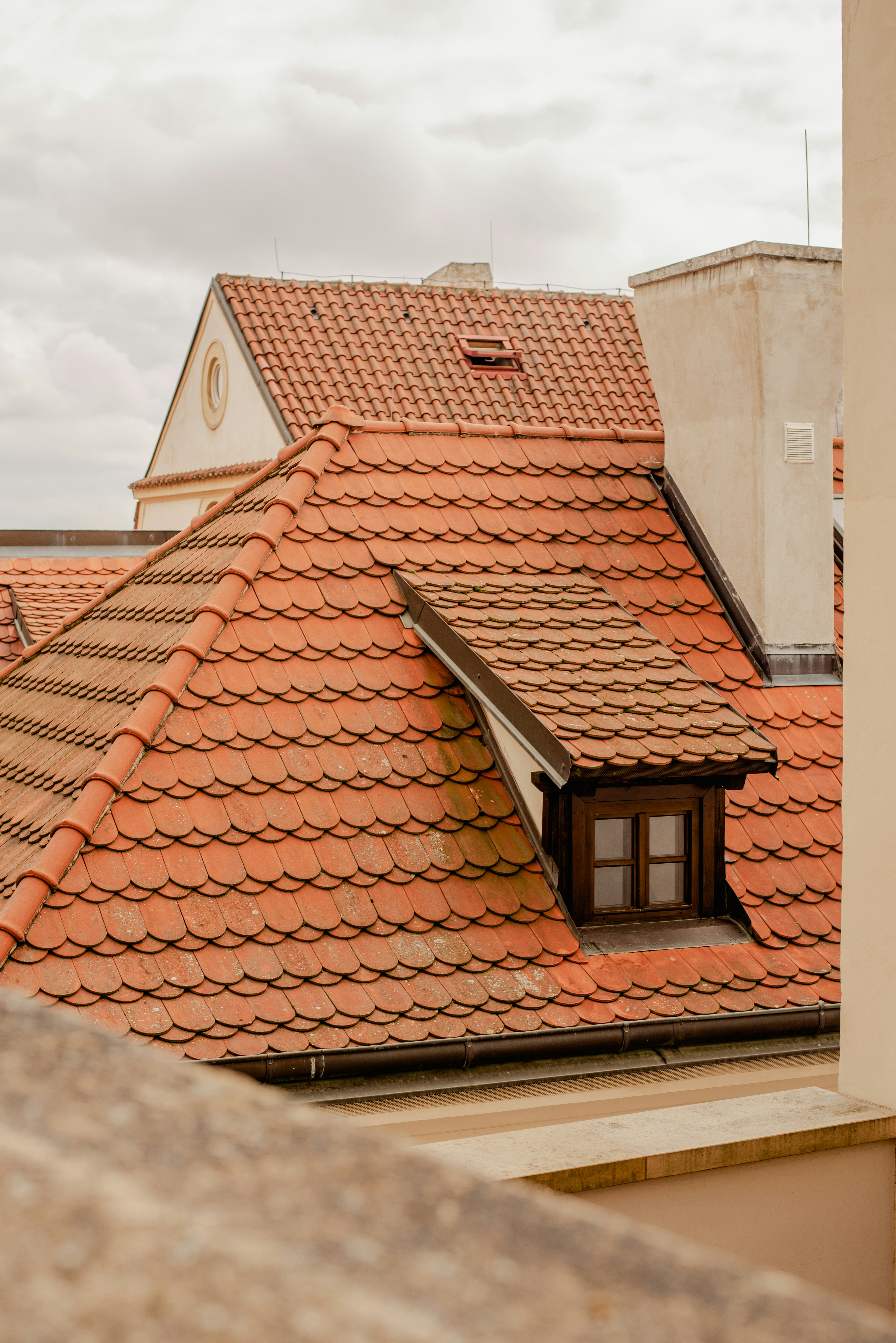 Photo by Eugenia Pan'kiv with Nikon D810