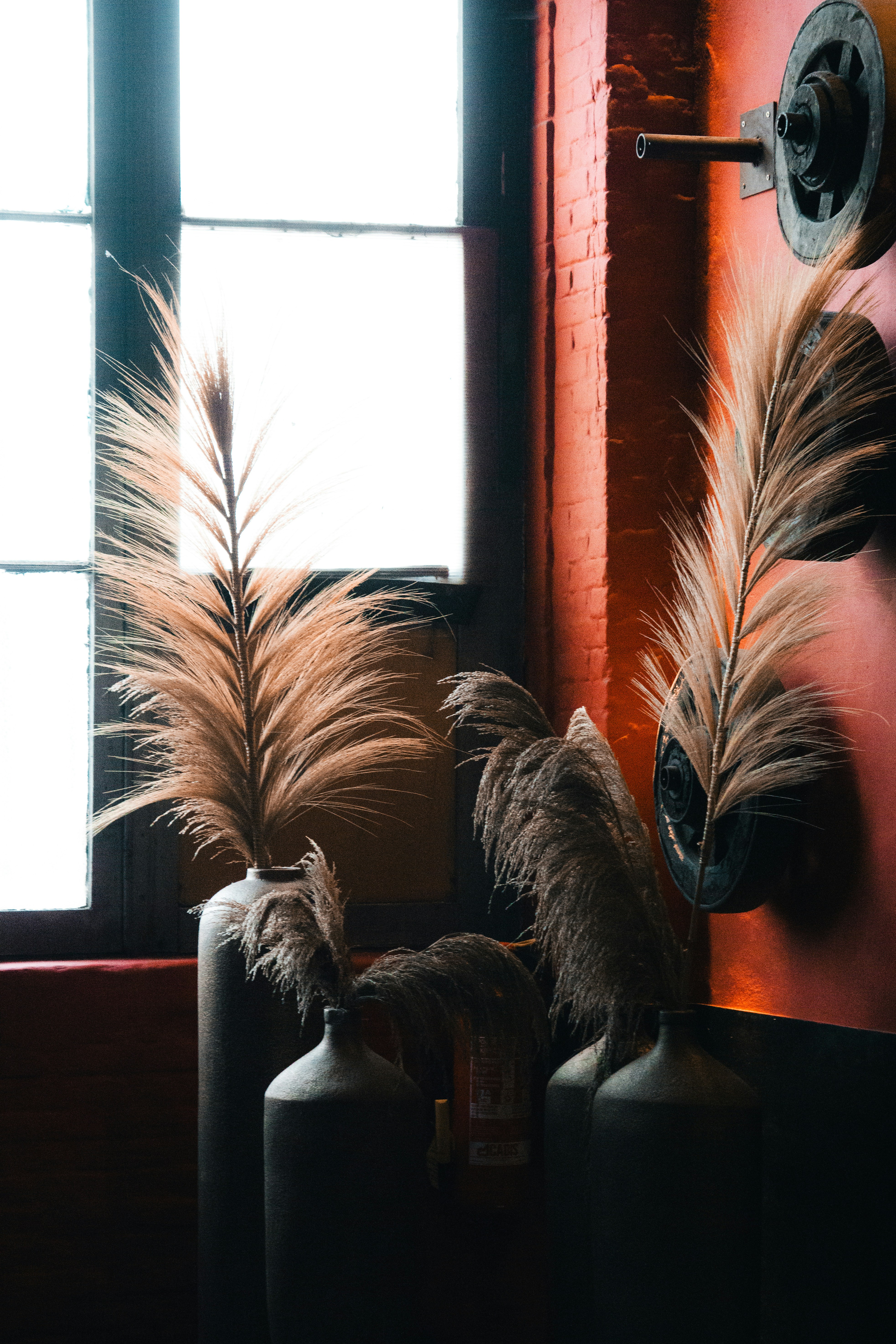 Amber Plumes by a Red-Walled Window